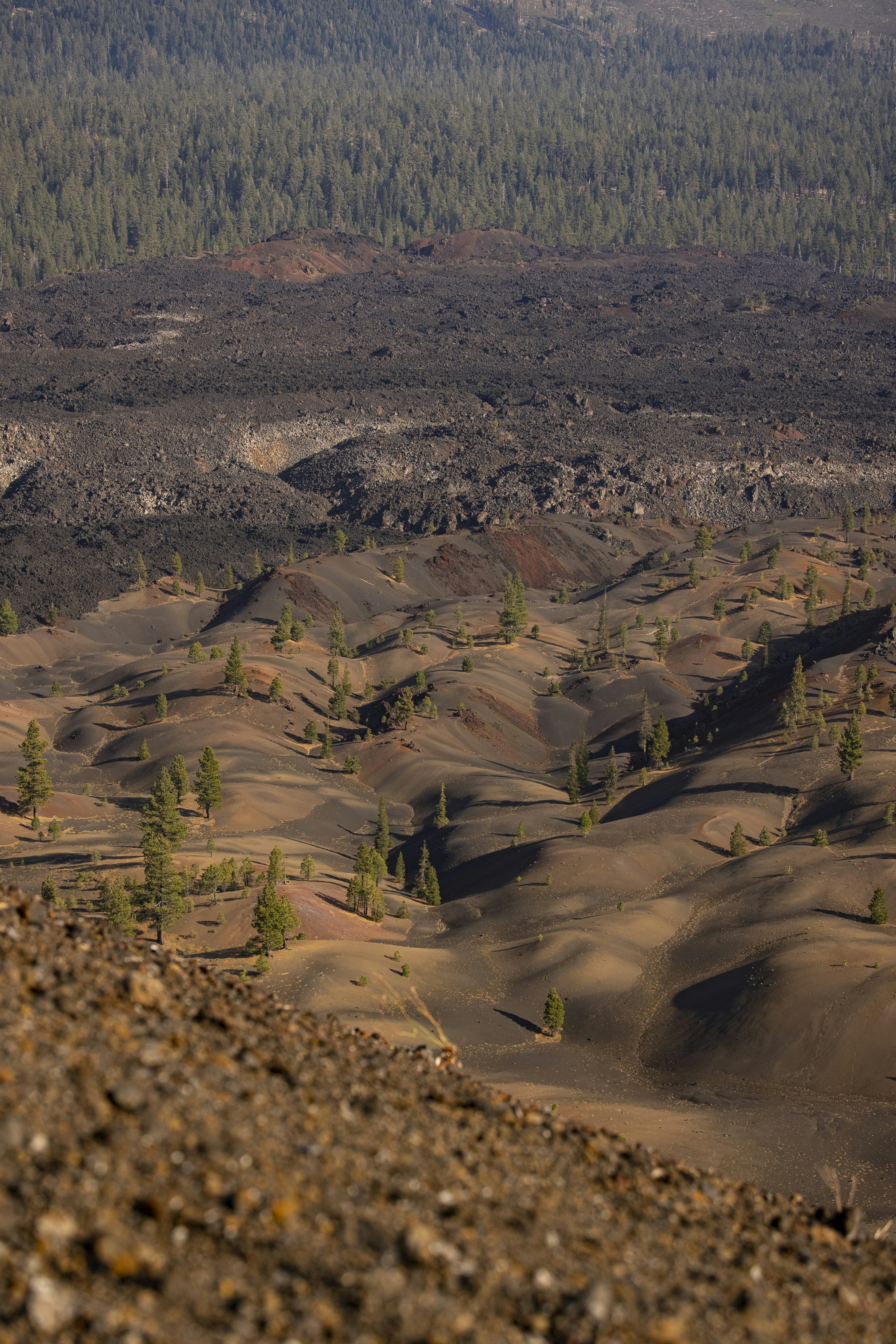 Whispers of the Ancient Earth
