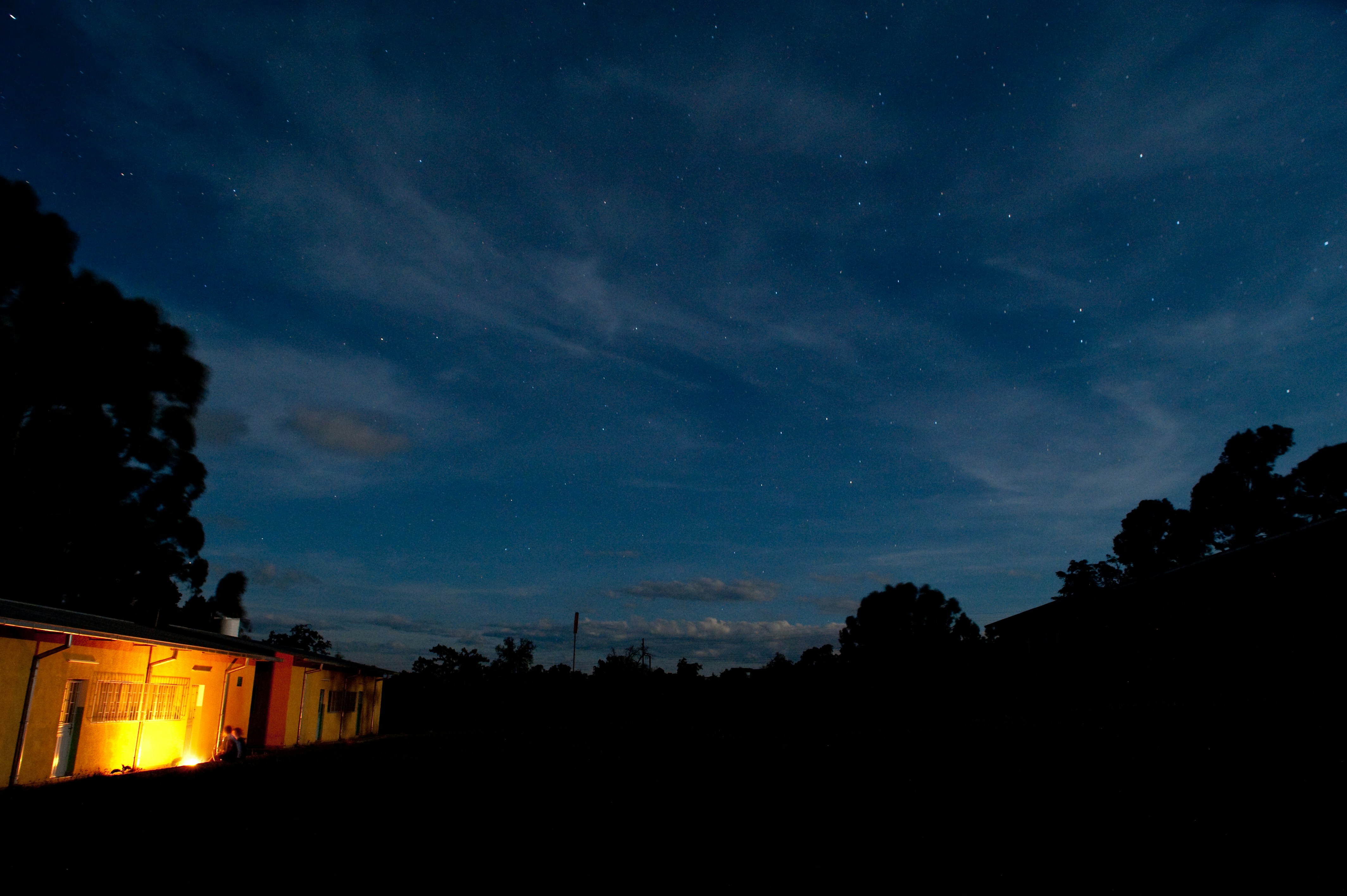 Silhouetted trees beneath a starry night sky with subtle cloud patterns and a warm glow from a distant building.