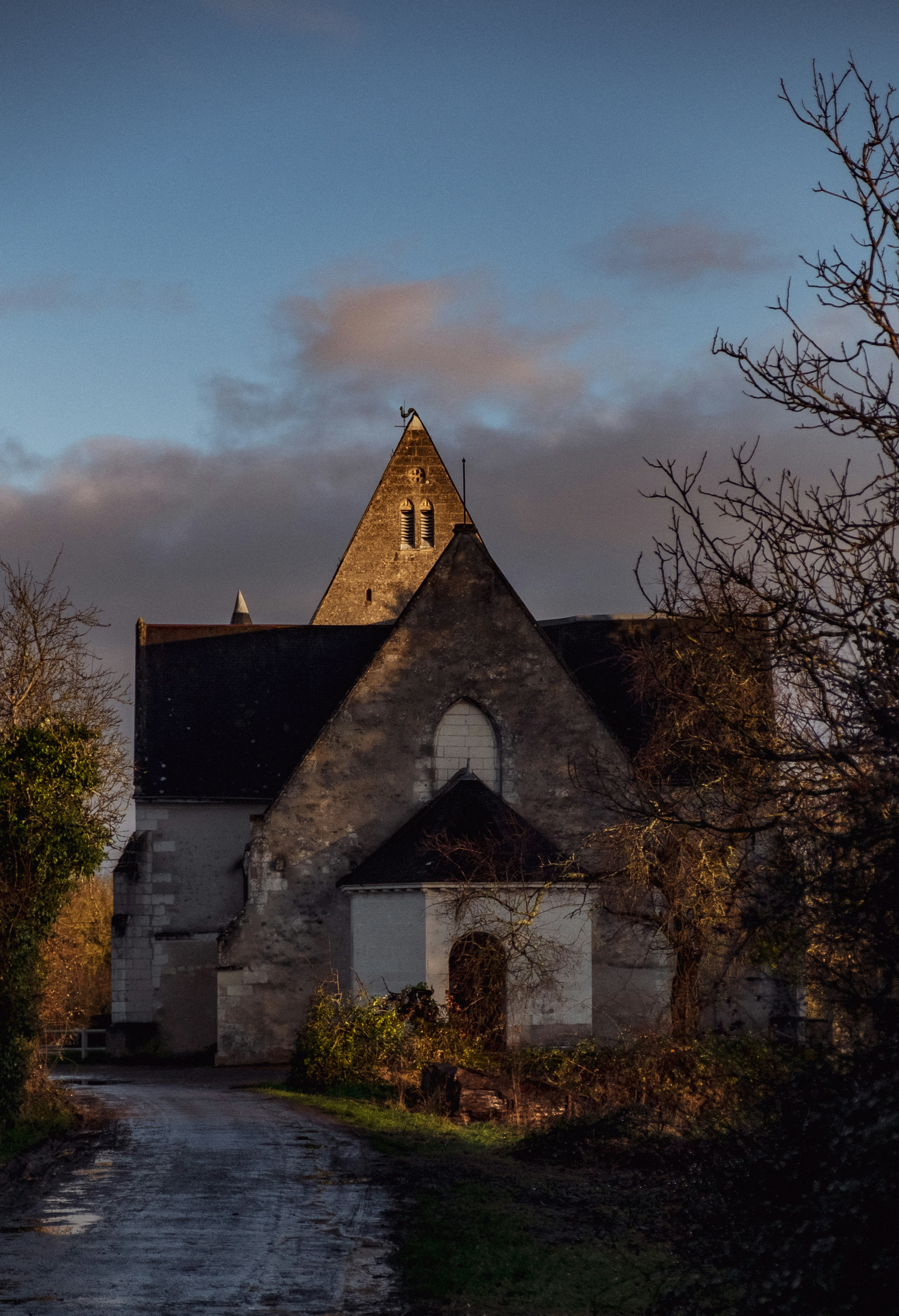 Gray and black concrete church near bare trees under gray sky photo ...