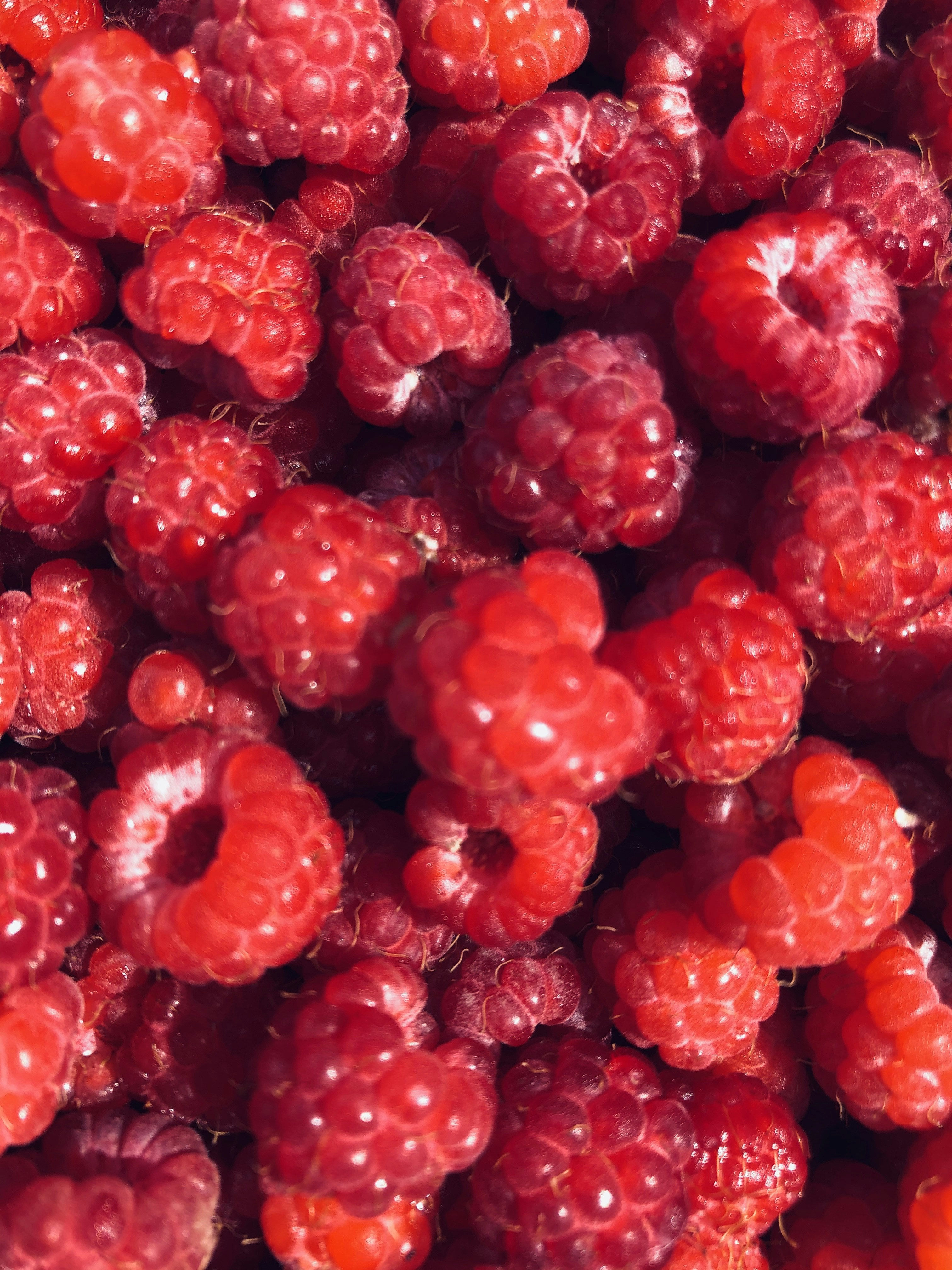 A bunch of raspberries that are very ripe photo – Free Россия Image on ...