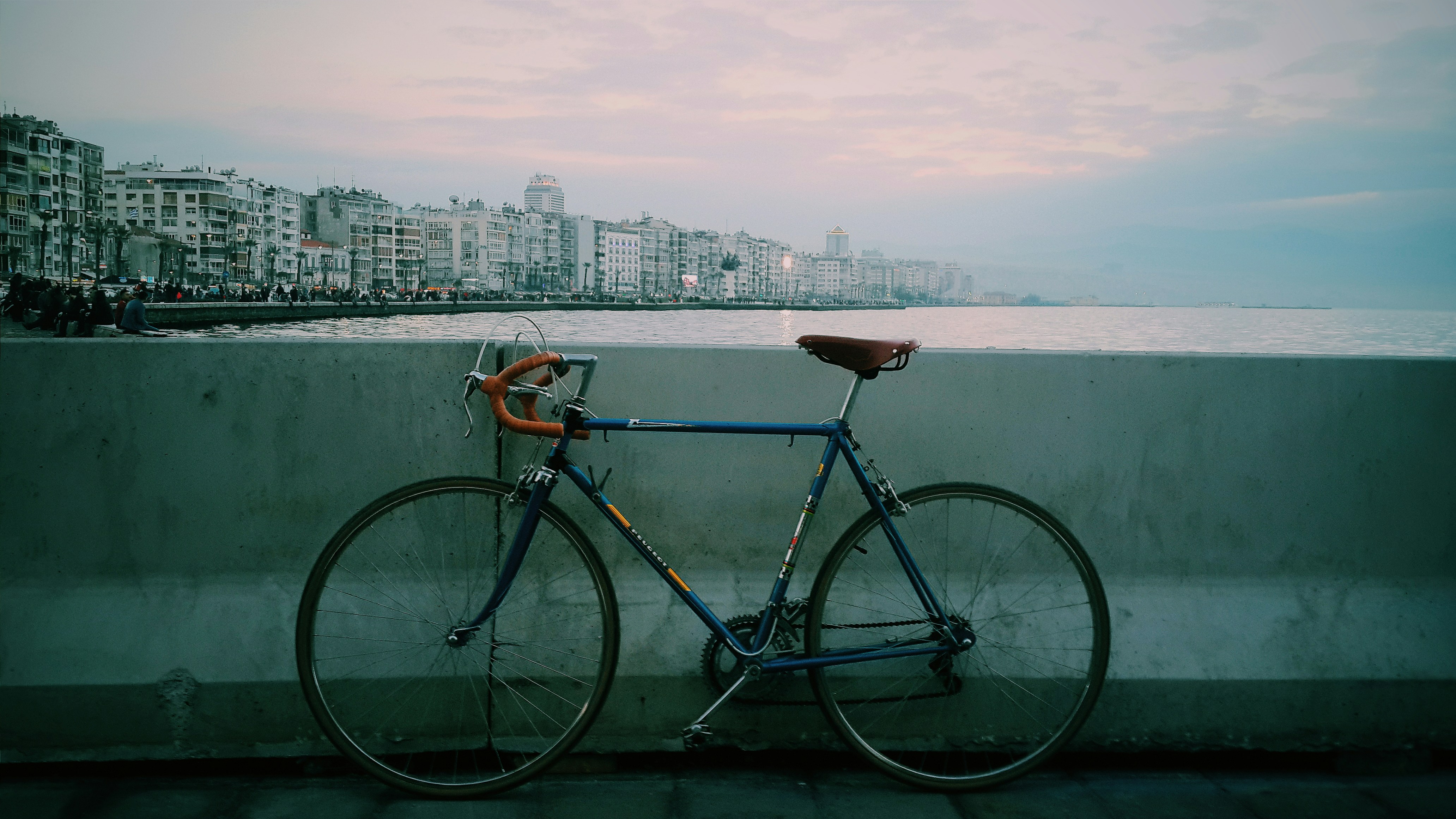 Vintage bicycle resting against a seaside wall with a cityscape backdrop under a pastel sky.