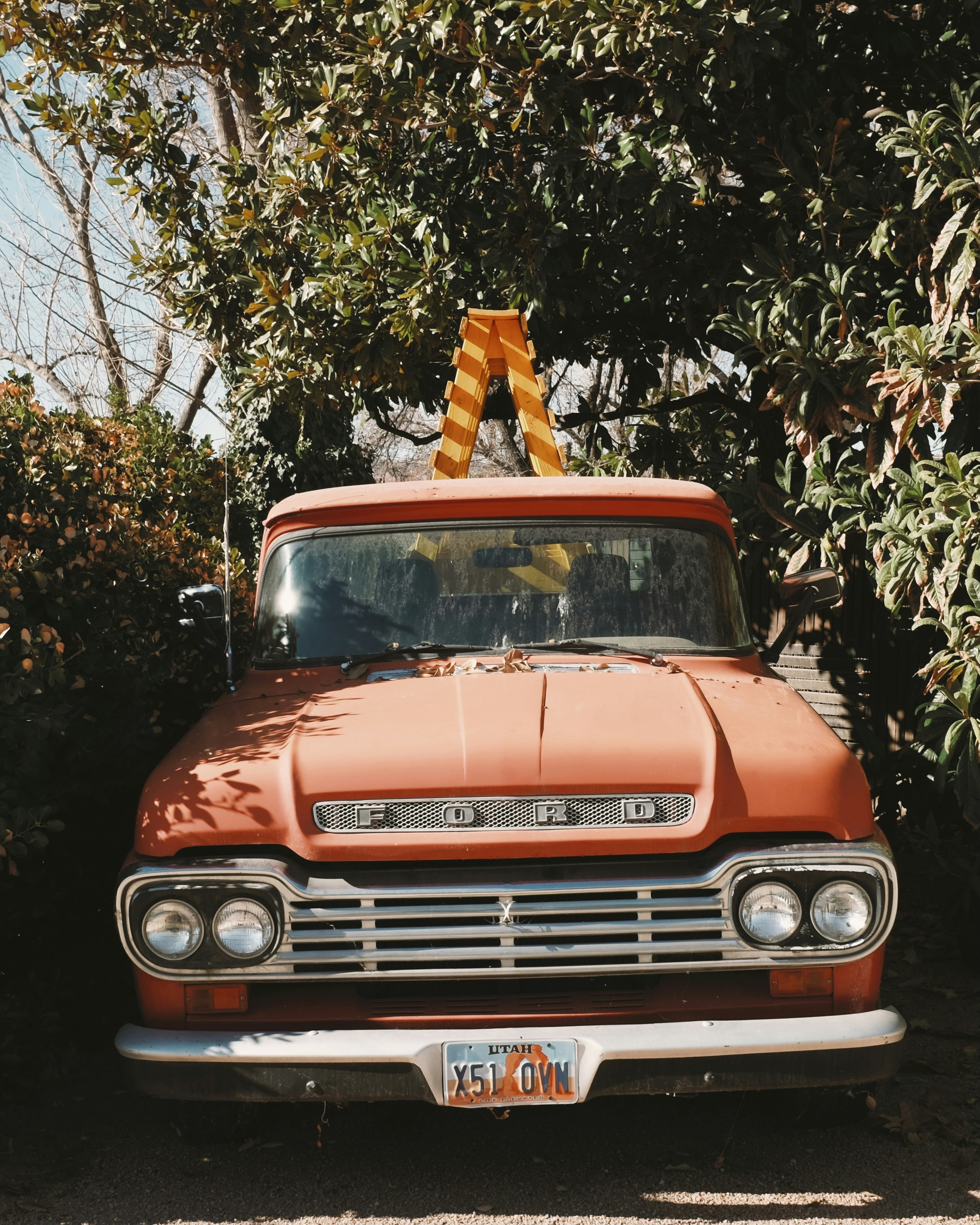 Orange vintage Ford truck under leafy canopy with striped warning beacon