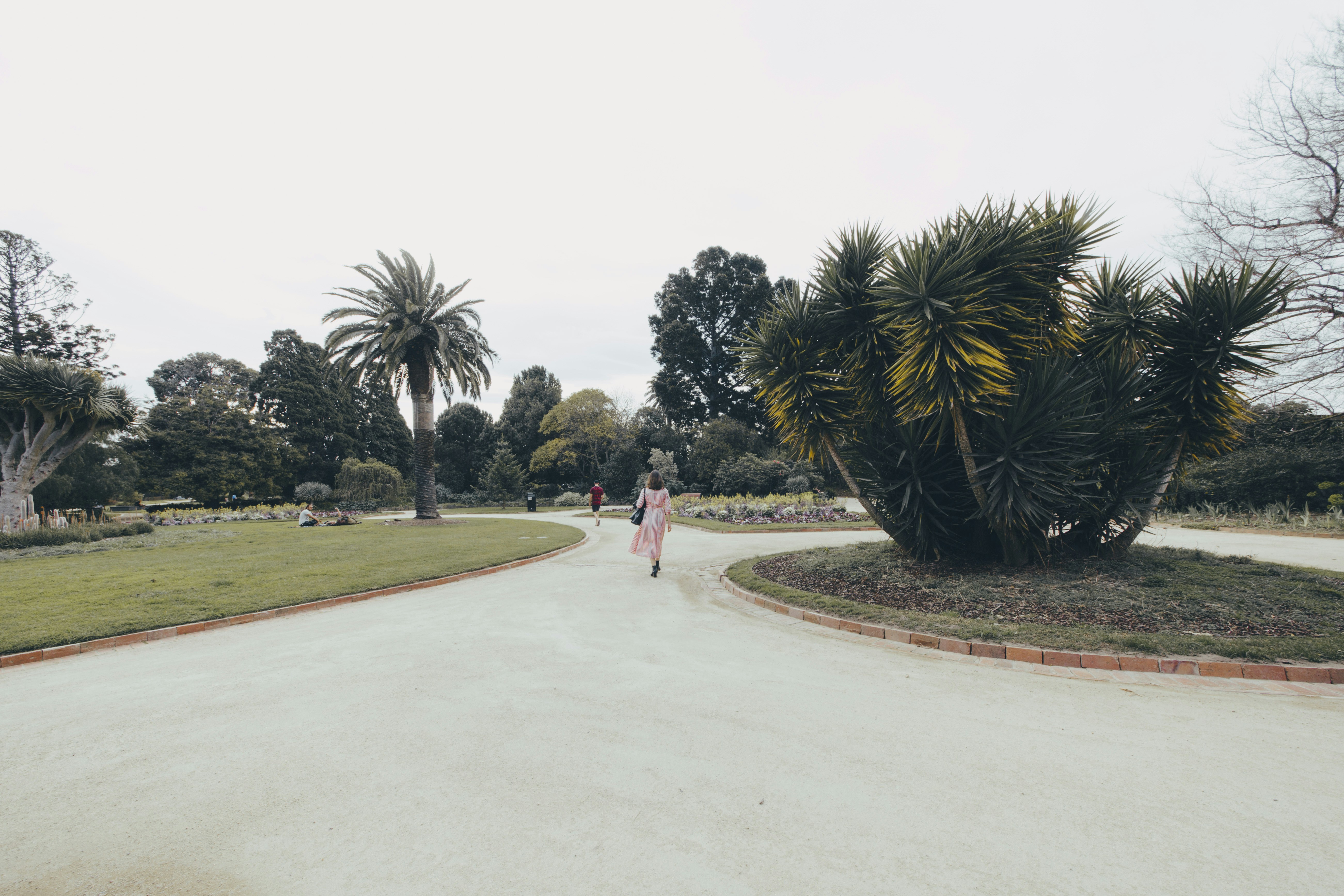 Hysterectomy Recovery Checklist: #1 Ultimate Success
