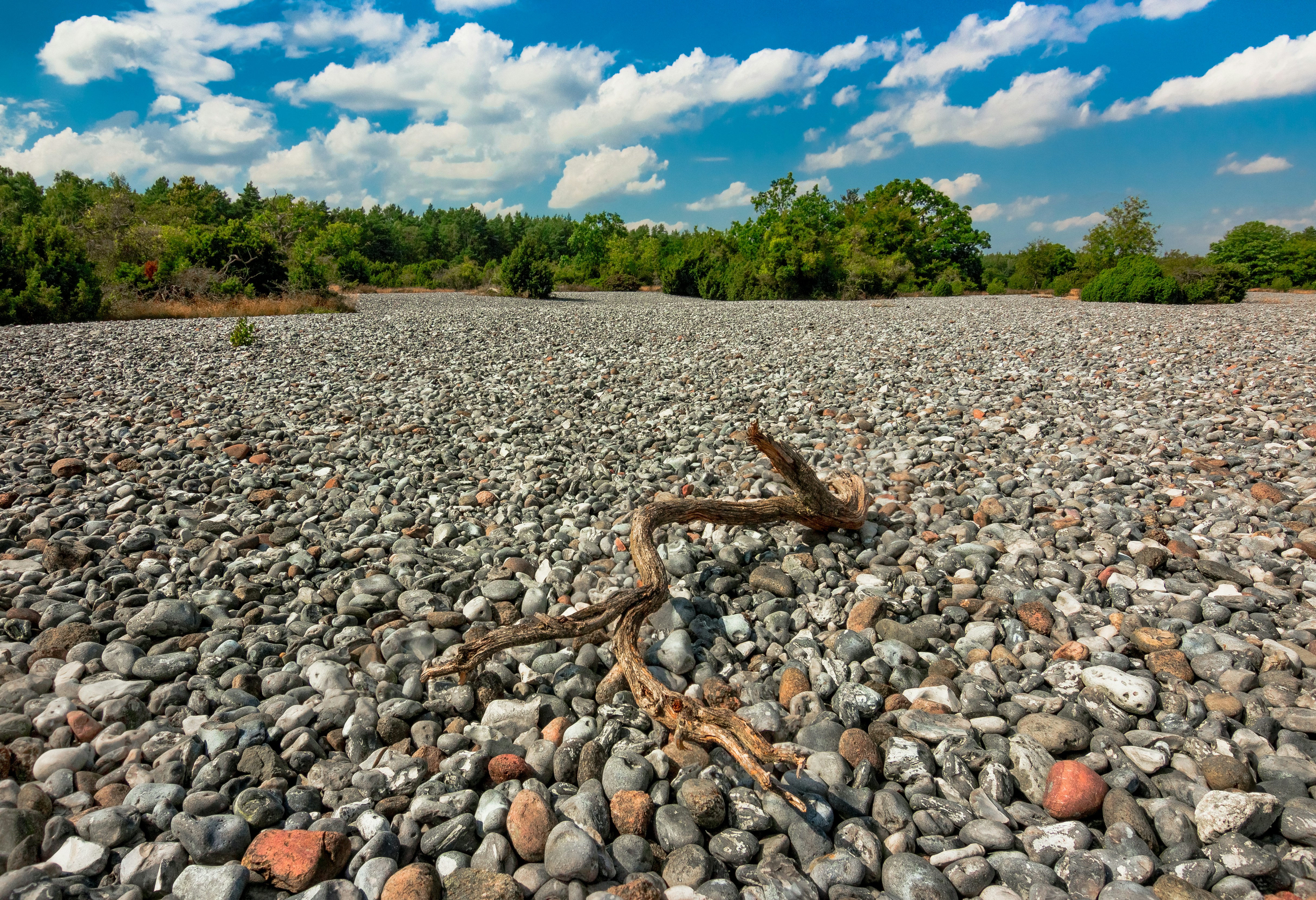 A twisted branch rests among a sea of smooth stones under a bright blue sky, highlighting the contrast between organic and inorganic elements of nature.