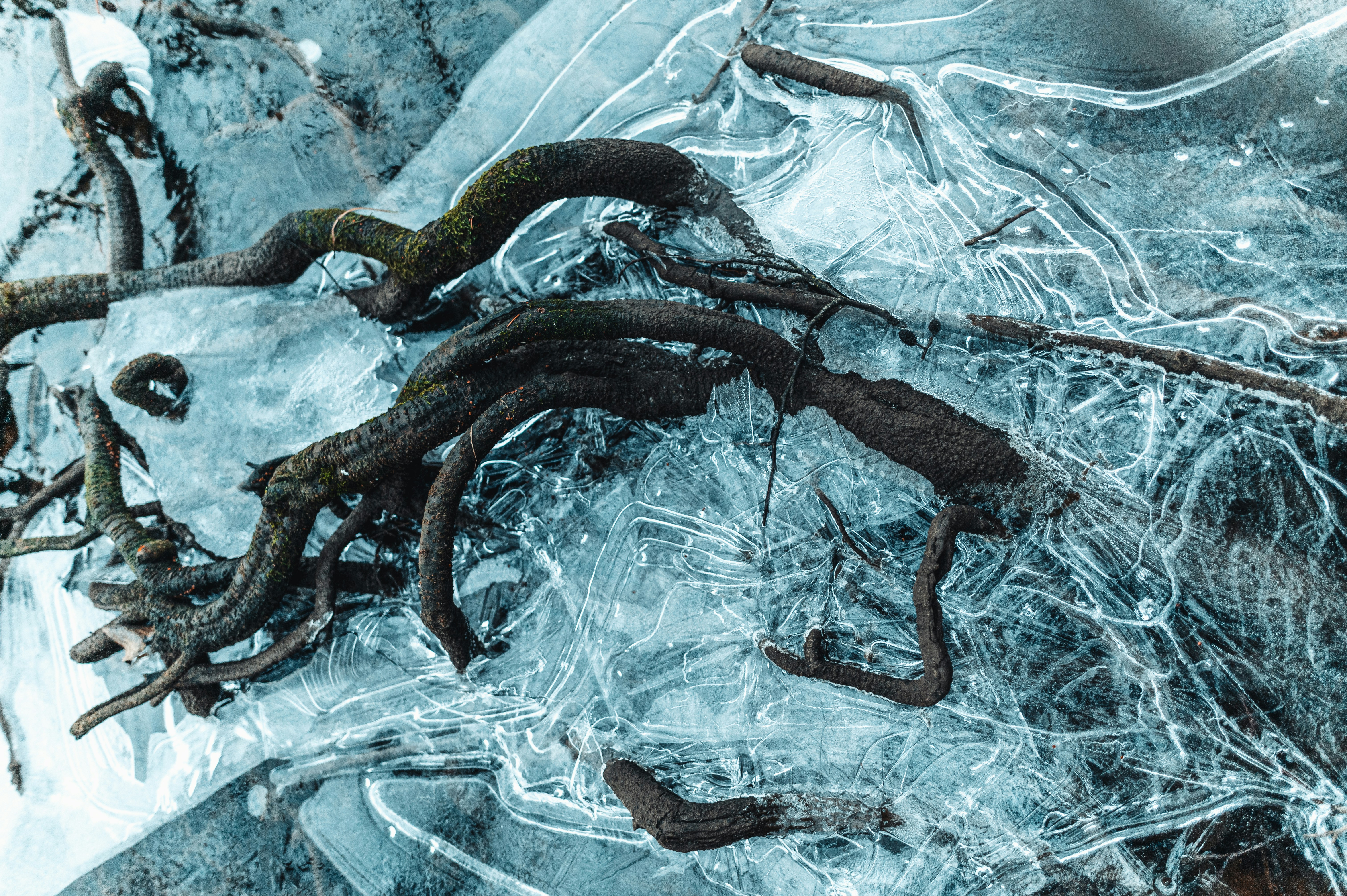 Abstract ice structures - cold winter