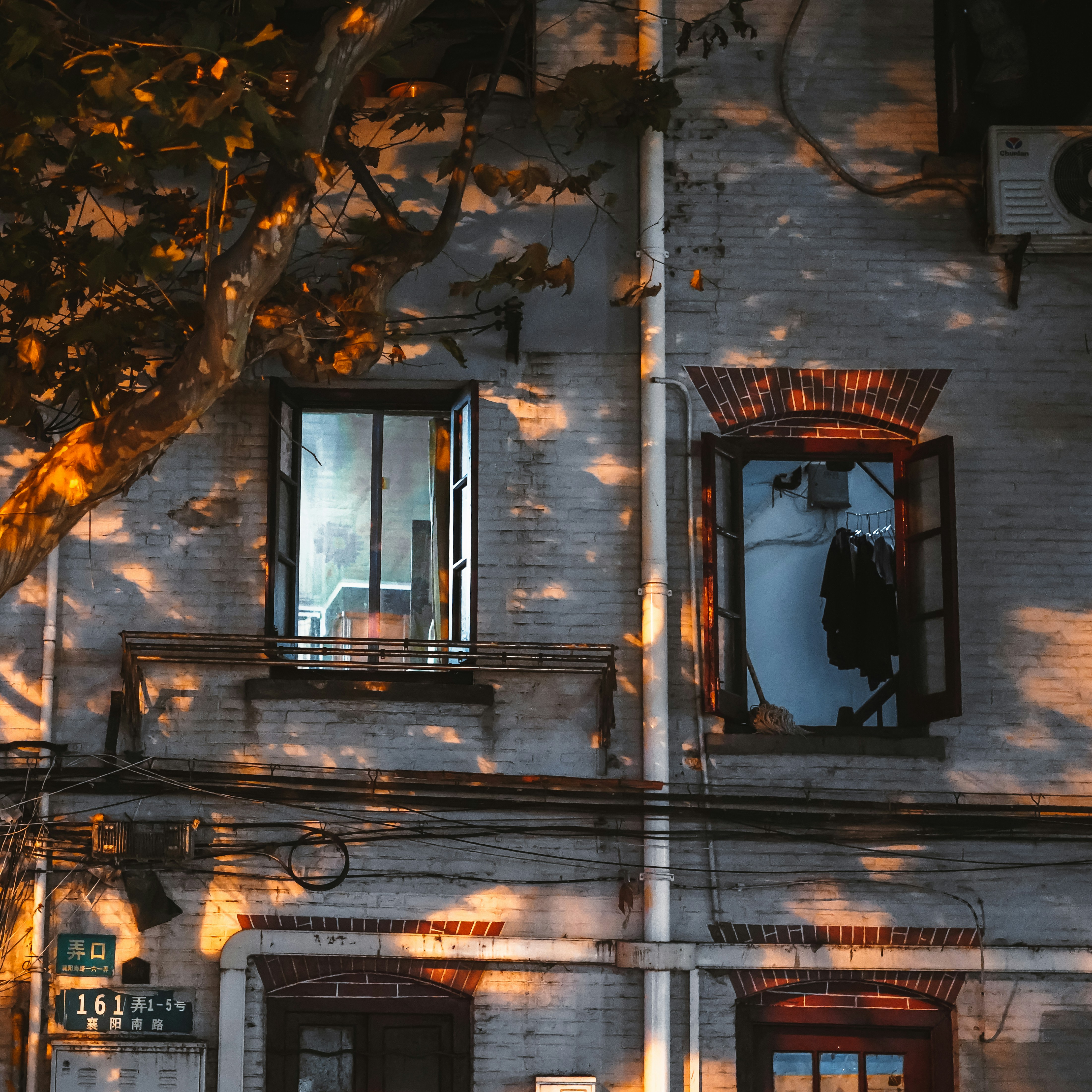 Photo by 蔡 世宏 with Sony Alpha 7R III