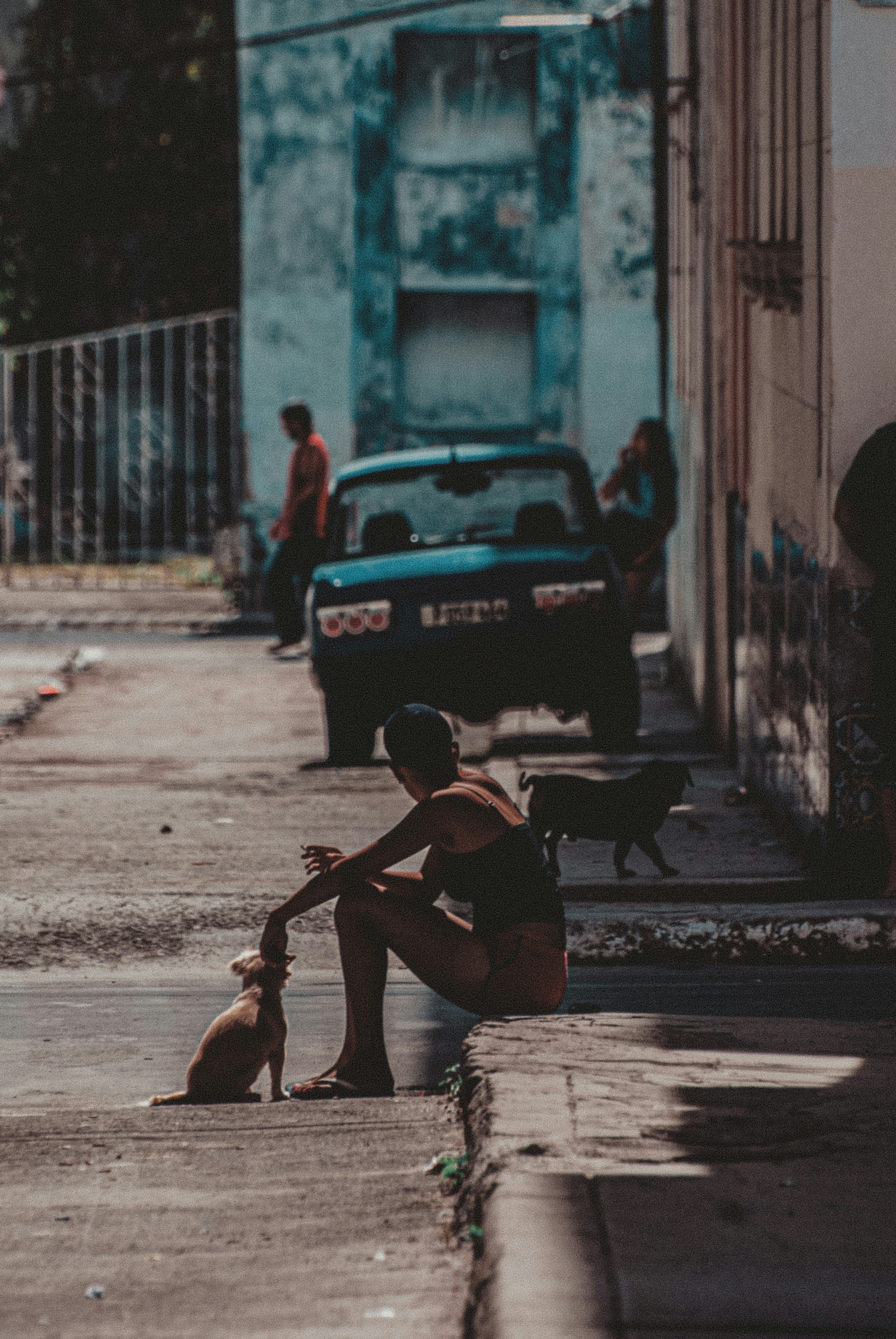Hands Across the Concrete: A Tender Moment with a Street Dog in an Alley