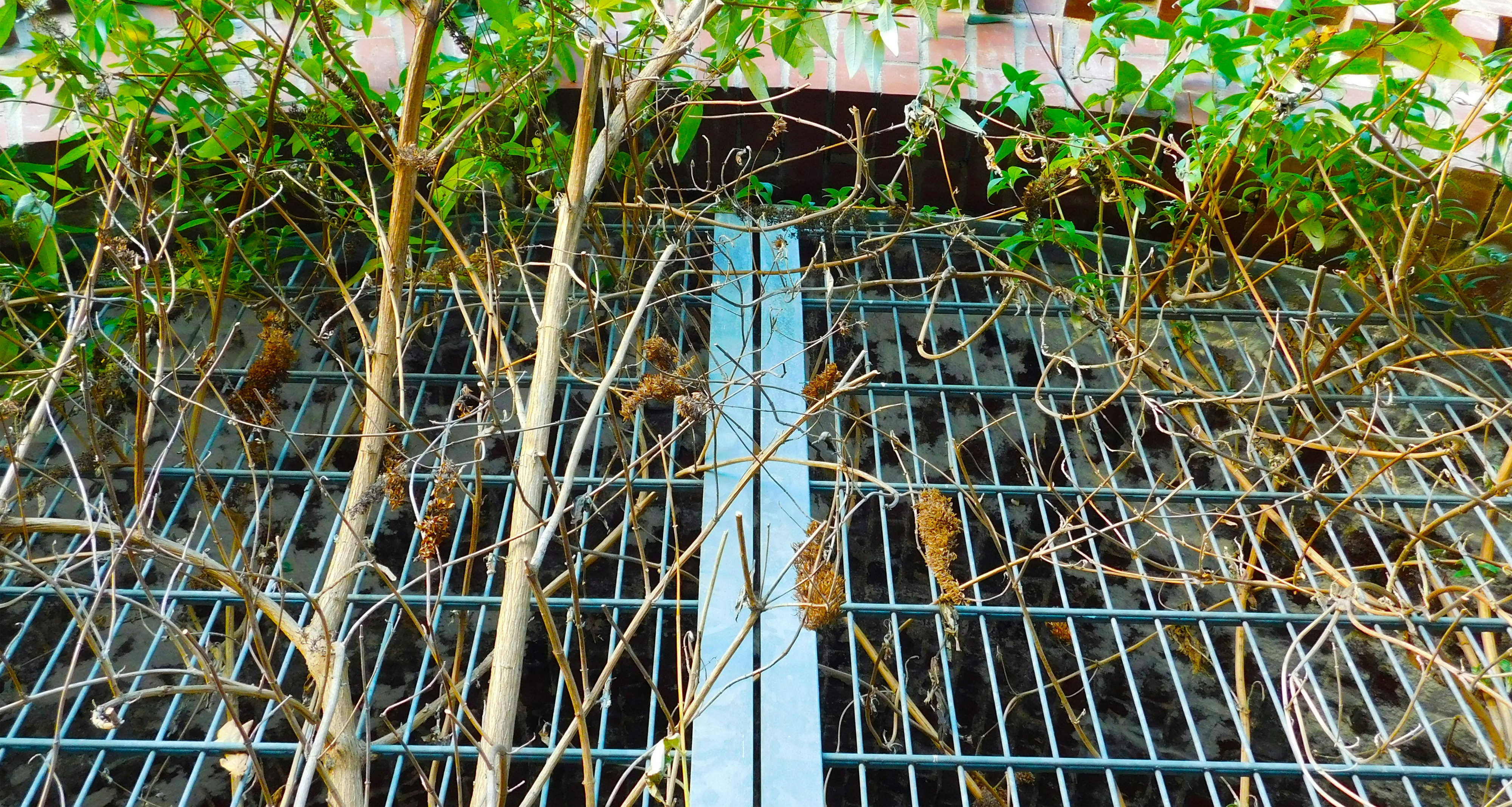 The Ground Noise (@thegroundnoise) | Comunidad de fotos de Unsplash