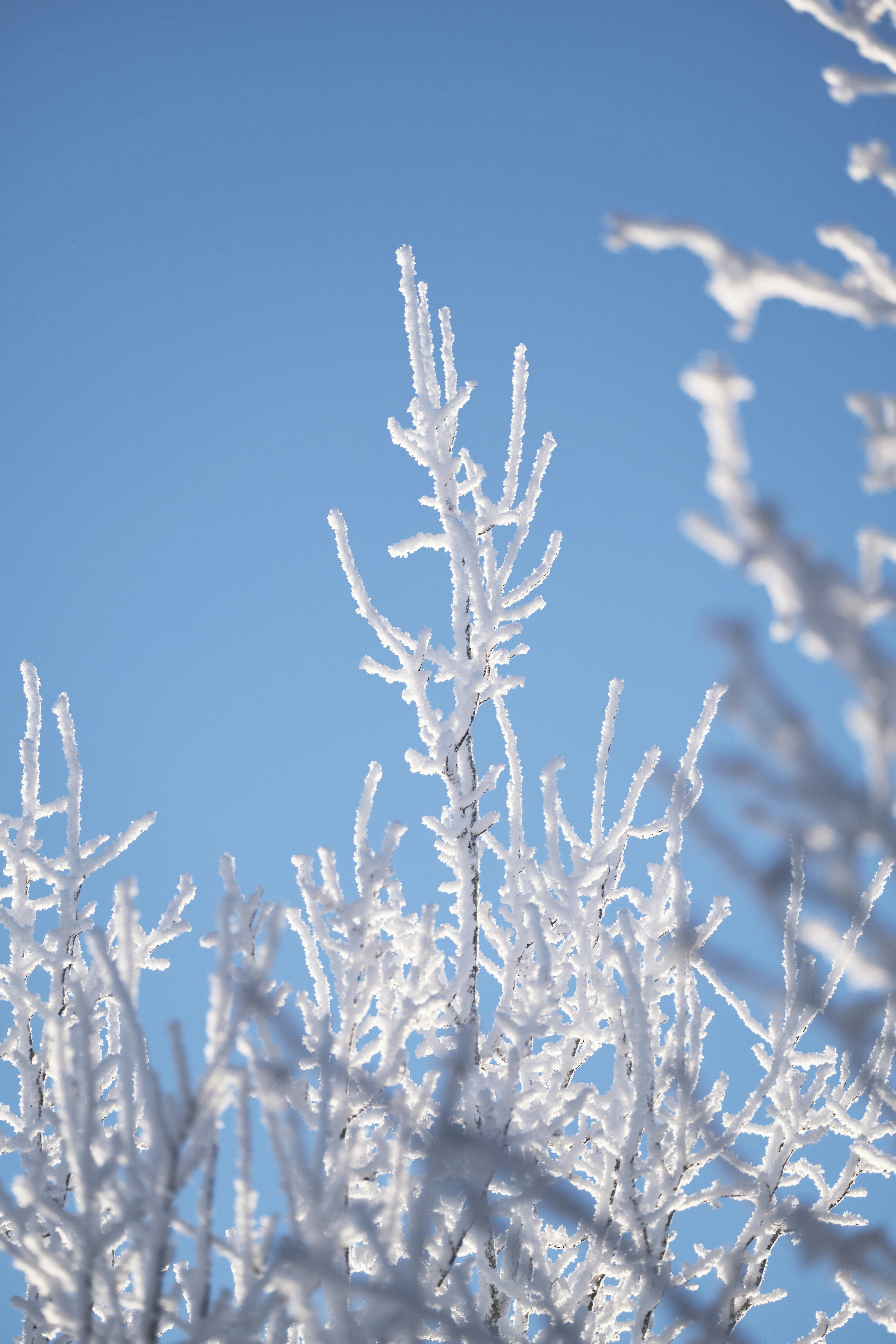 Ludovic Migneault (@dargonesti) | Unsplash Photo Community