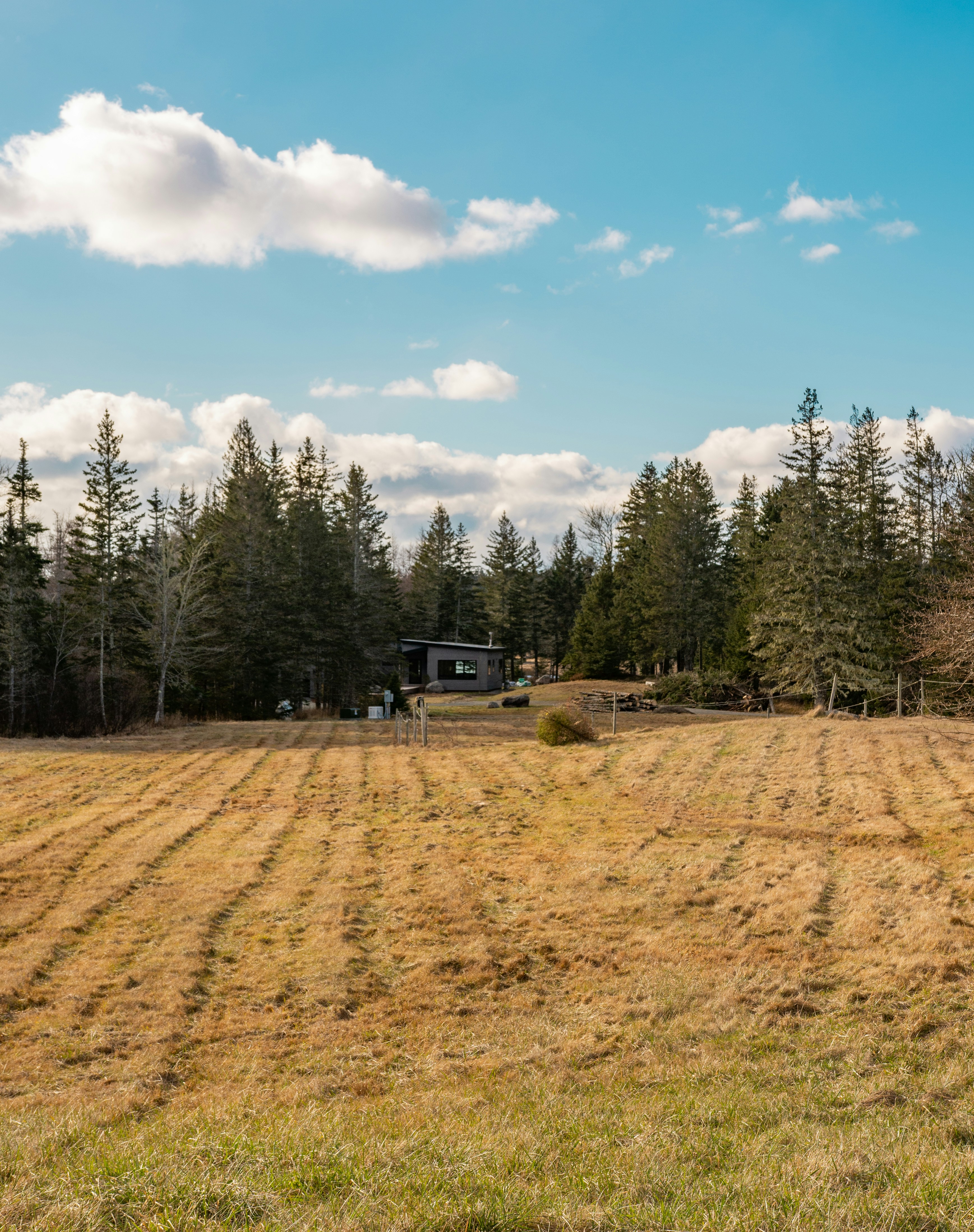 green trees under blue sky during daytimeTrevor Hayes
