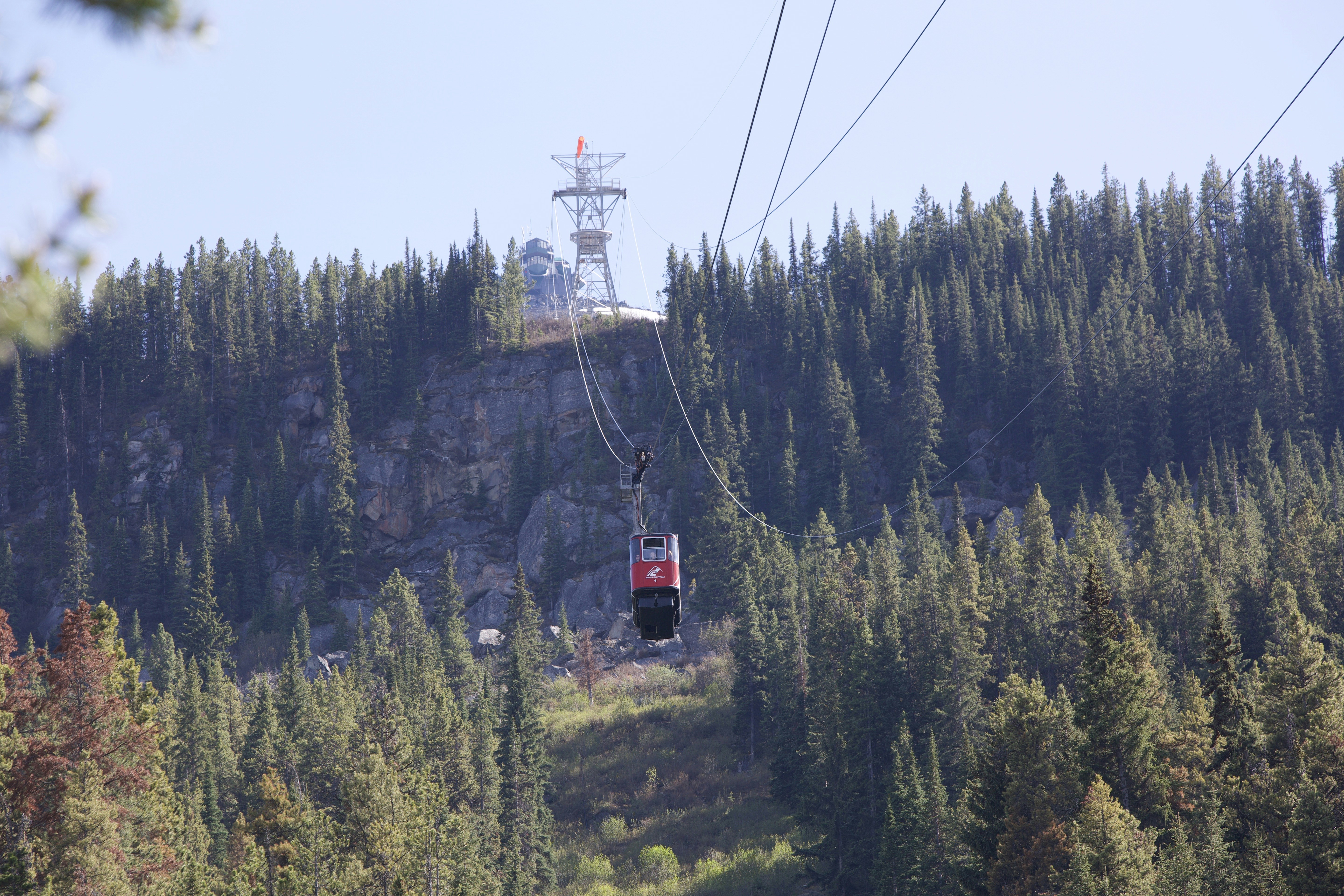 Crimson Gondola Over a Pine-Draped Alpine Ridge