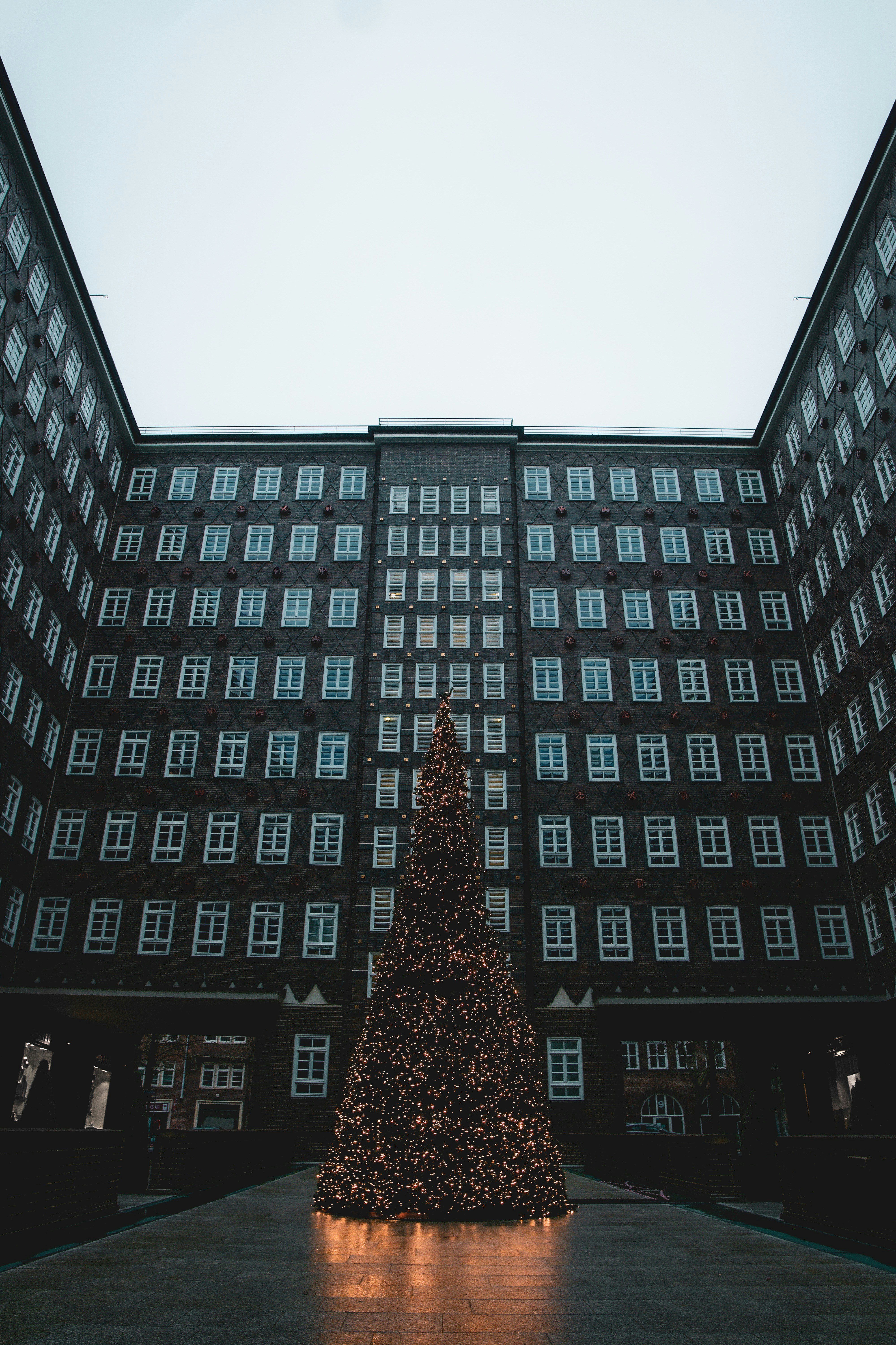 A beautifully lit Christmas tree stands in a courtyard surrounded by tall, symmetrical buildings, creating a serene holiday atmosphere.