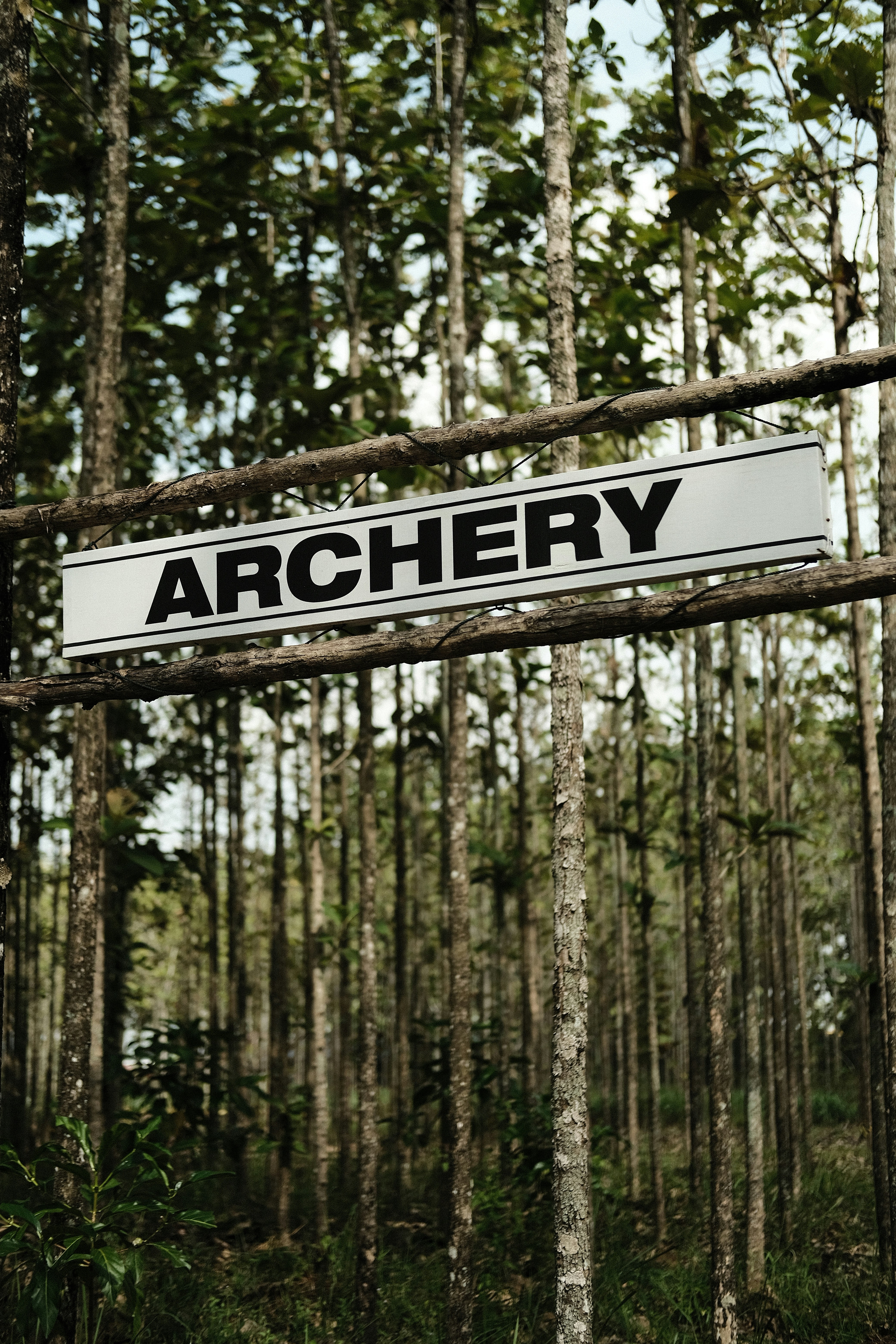 Archery Sign Between Silent Pines