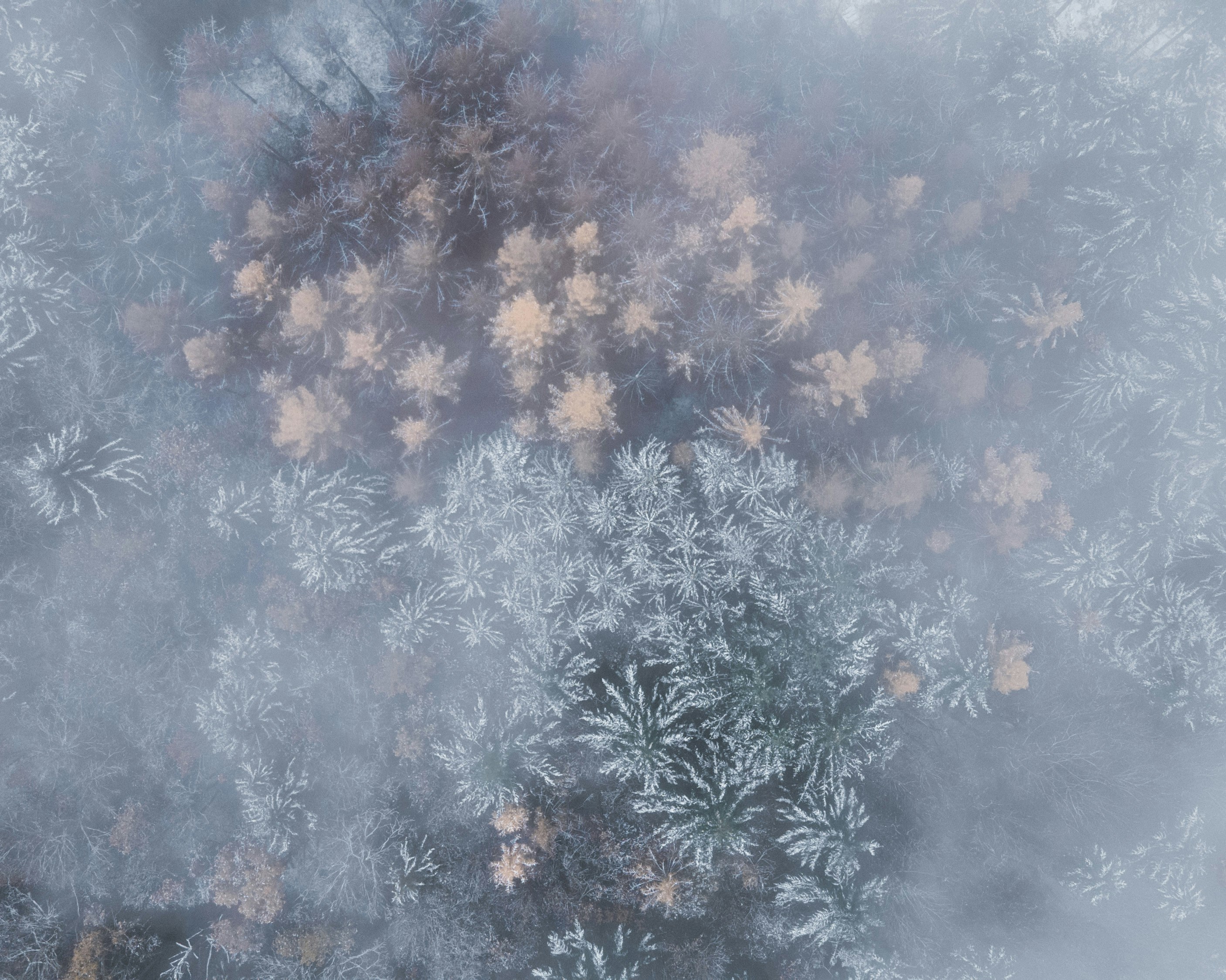 Crystalline Quilt: Aerial Portrait of Frost Crystals Across Ice