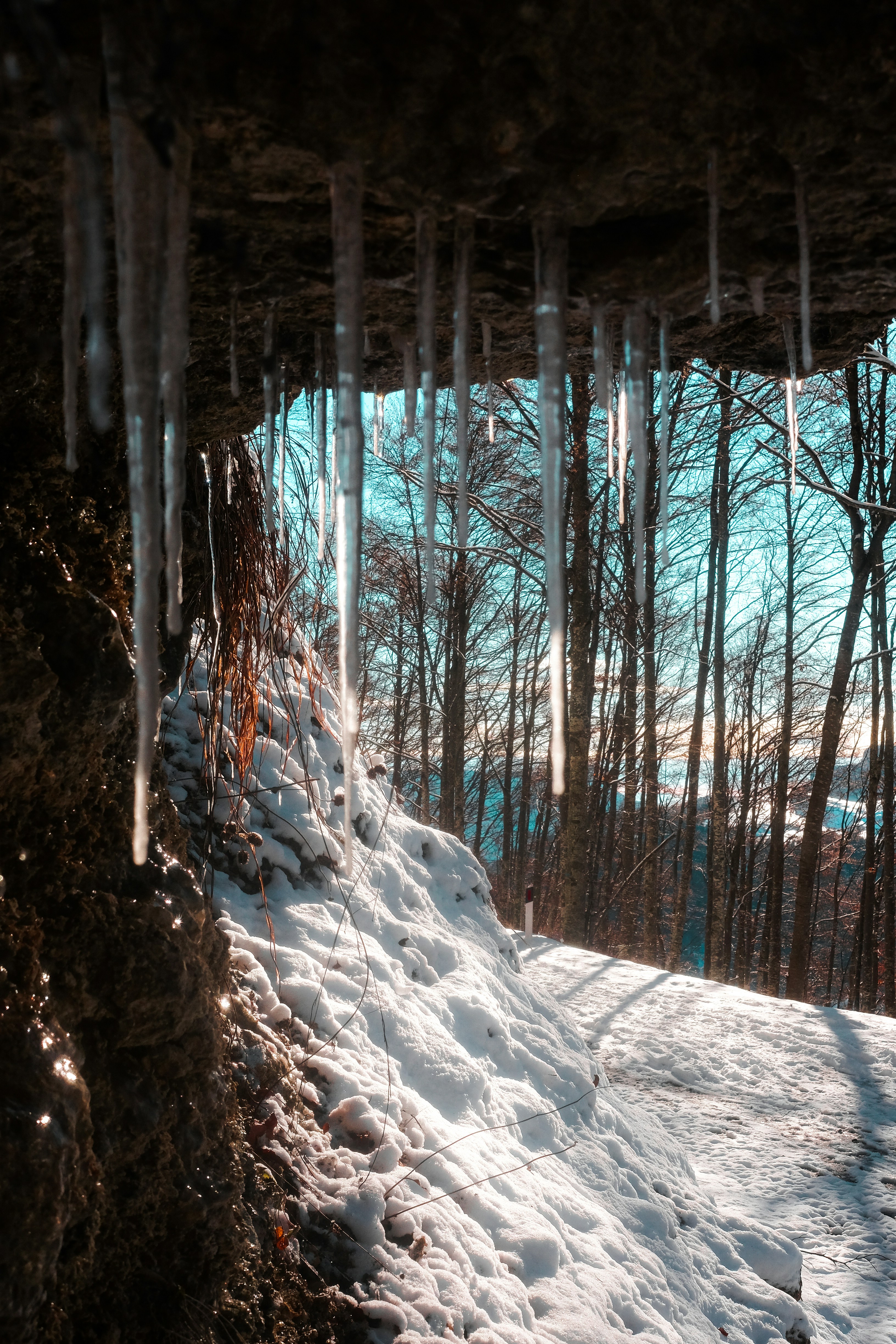 Icicle Curtain Over a Snow-Dusted Ravine