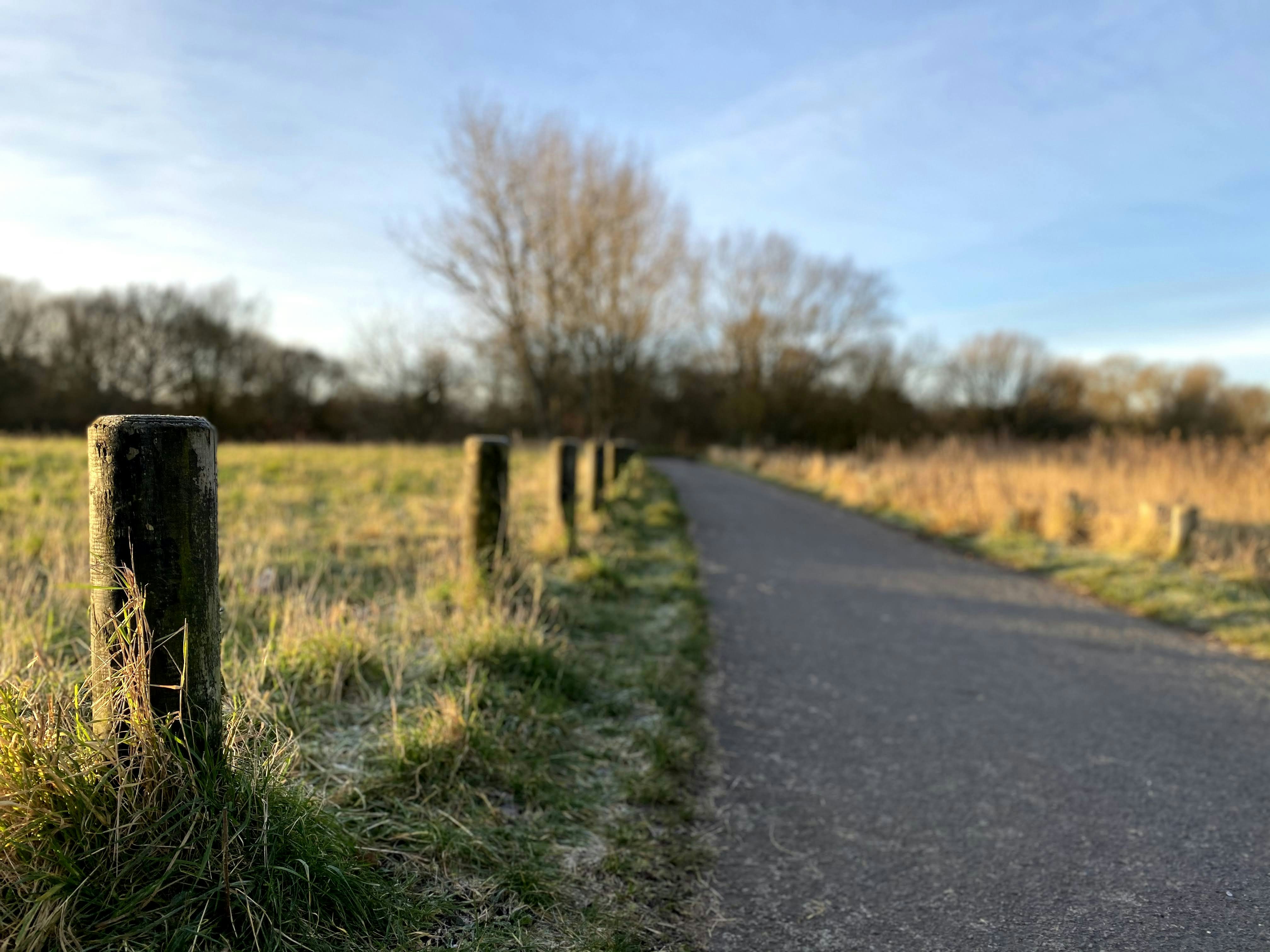 Golden Hour Pathway