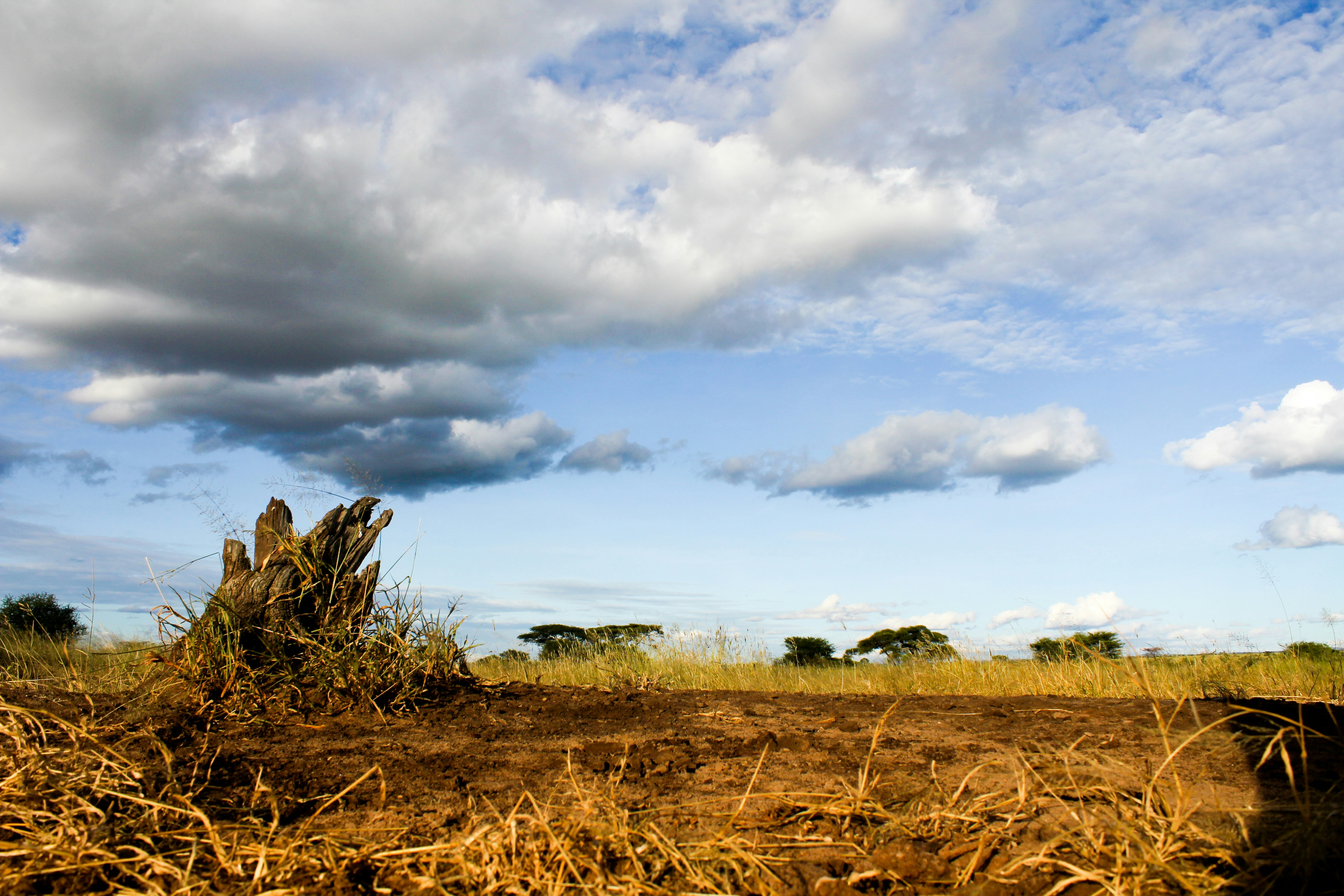 Brown grass field under cloudy sky during daytime photo – Free ...