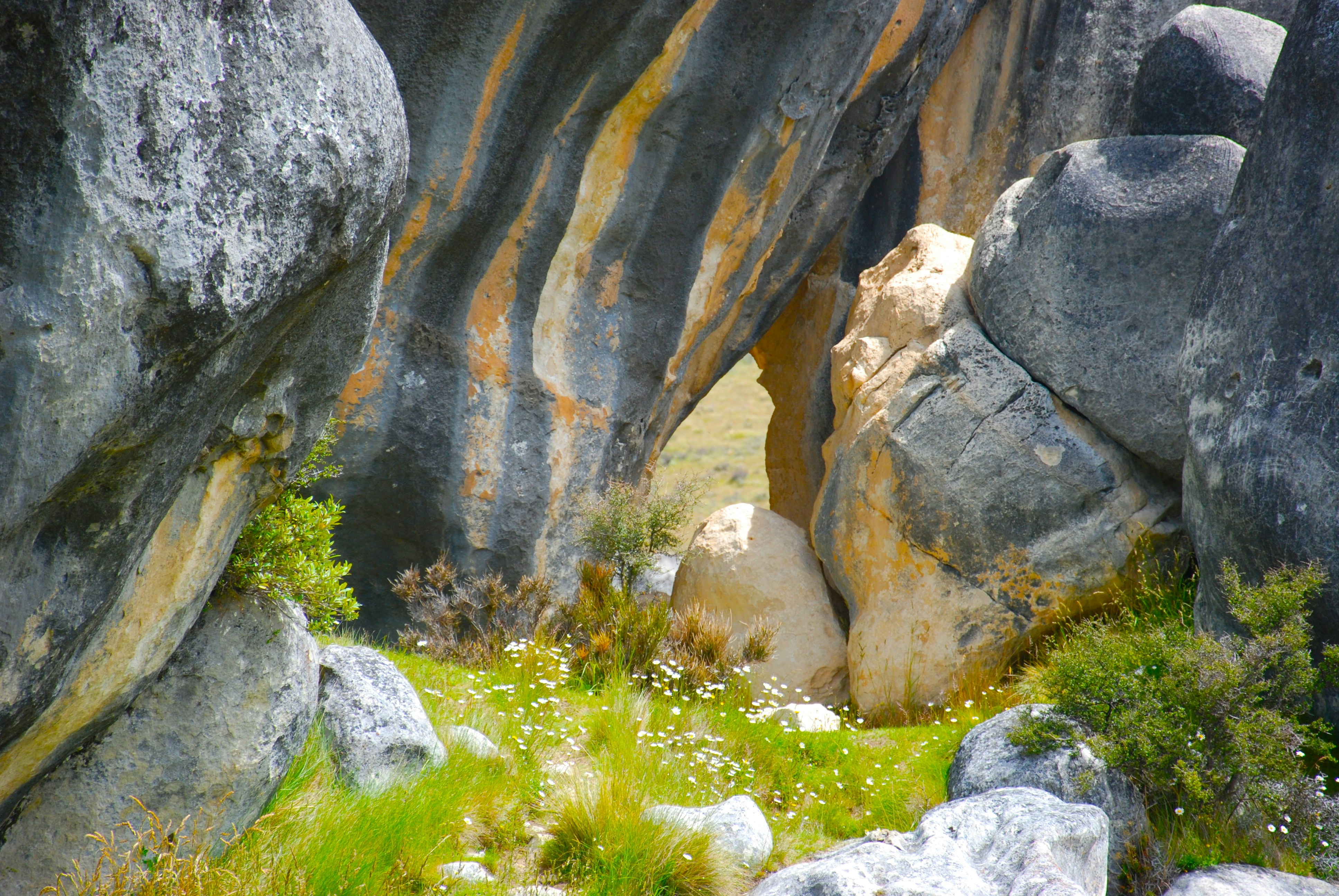 A natural archway formed by towering rocks, surrounded by vibrant greenery and delicate wildflowers.