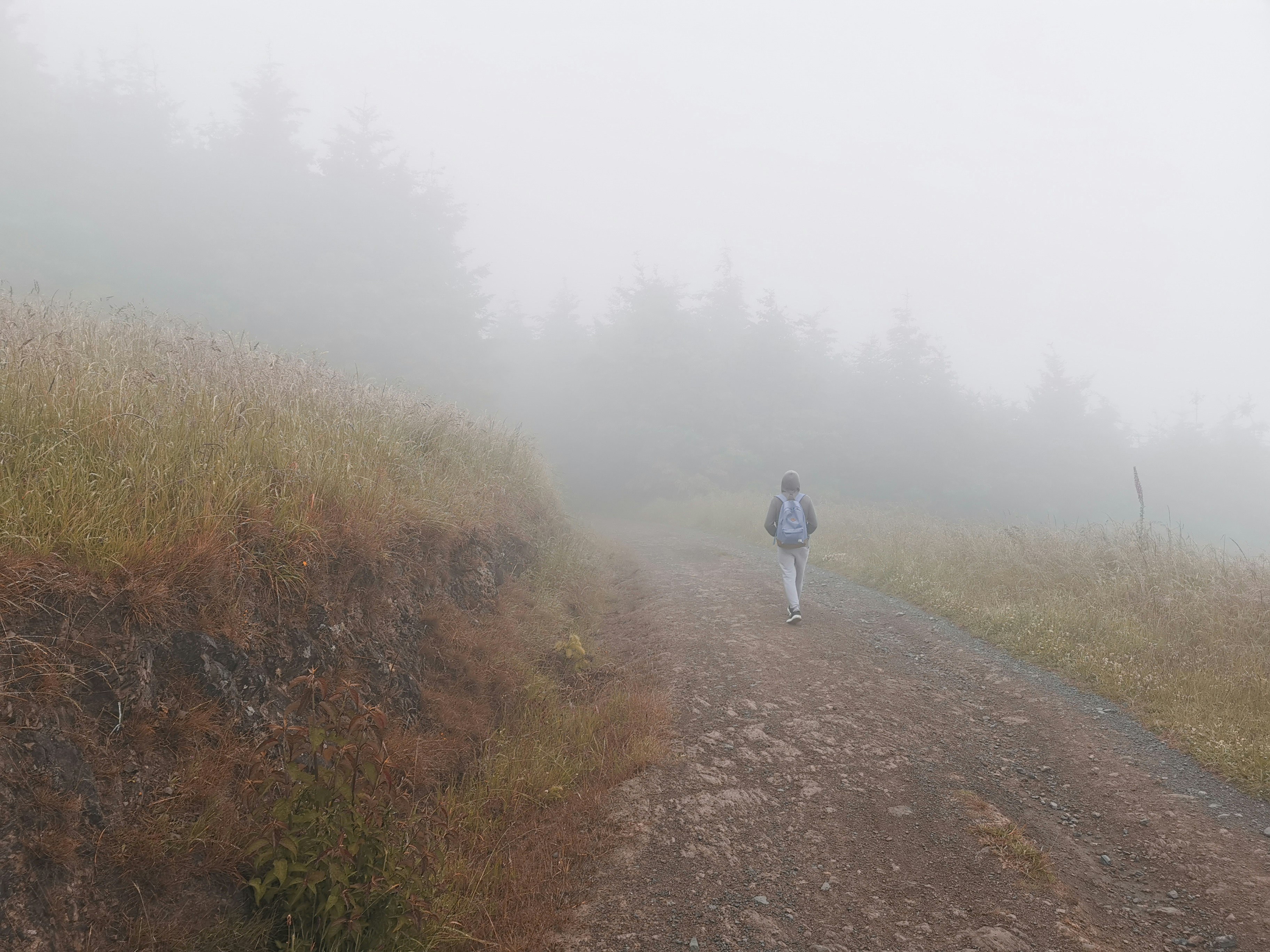 Person walking along a foggy dirt path bordered by grass and distant trees.