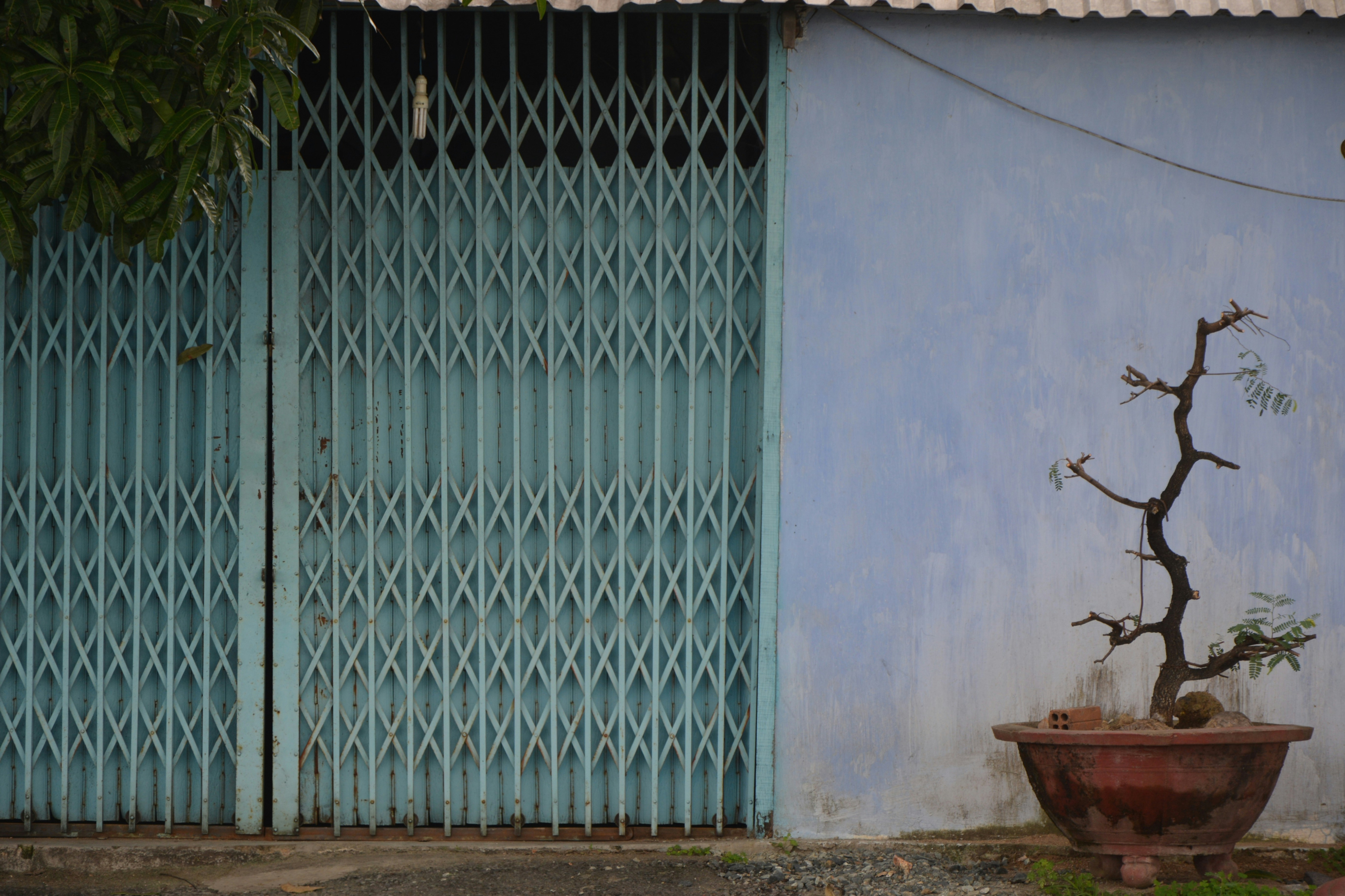 Green metal security gate on the front of a shop. | blue metal gate near brown wooden table