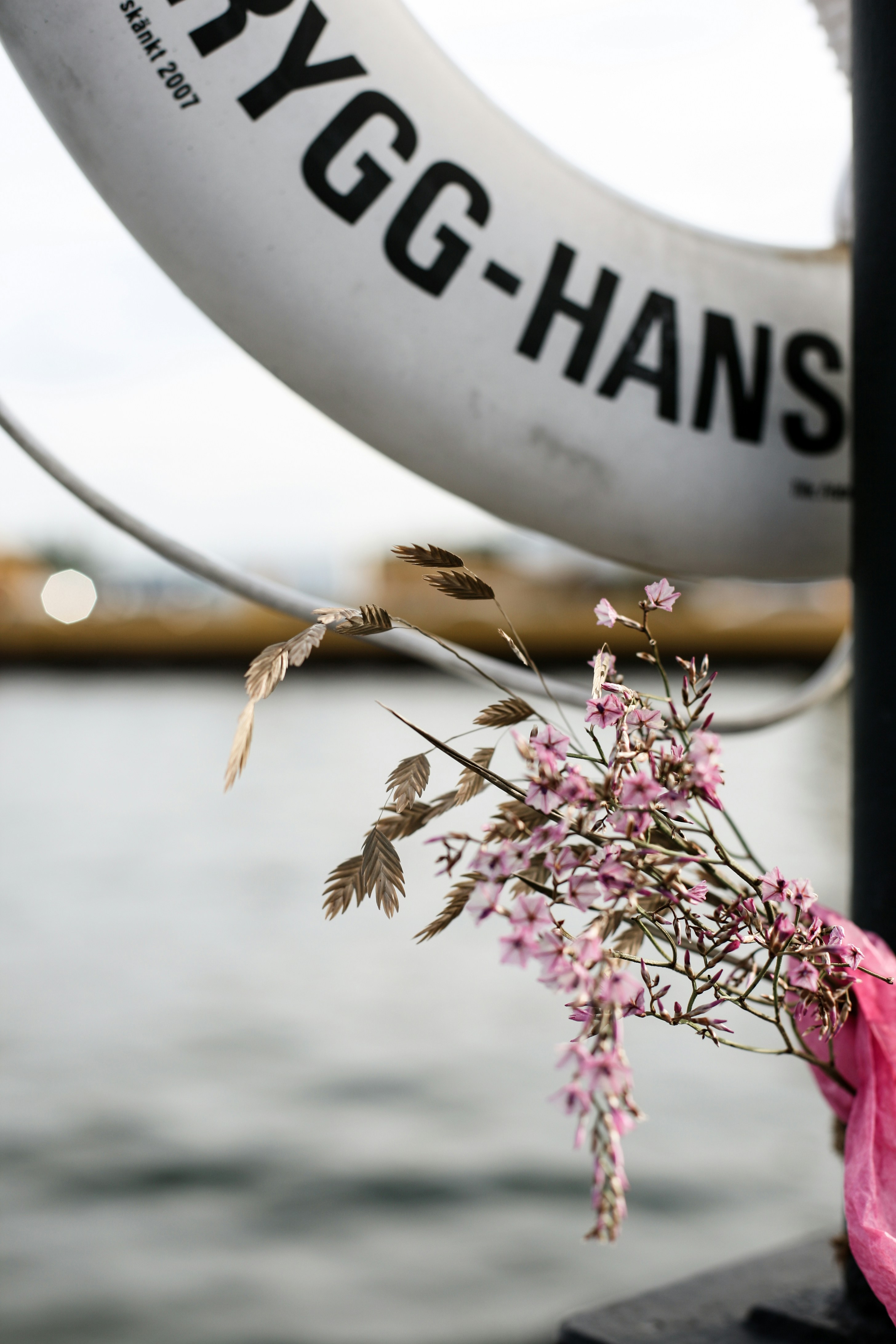 Harbor Blooms: Pink Flowers Tethered to a Weathered Lifebuoy