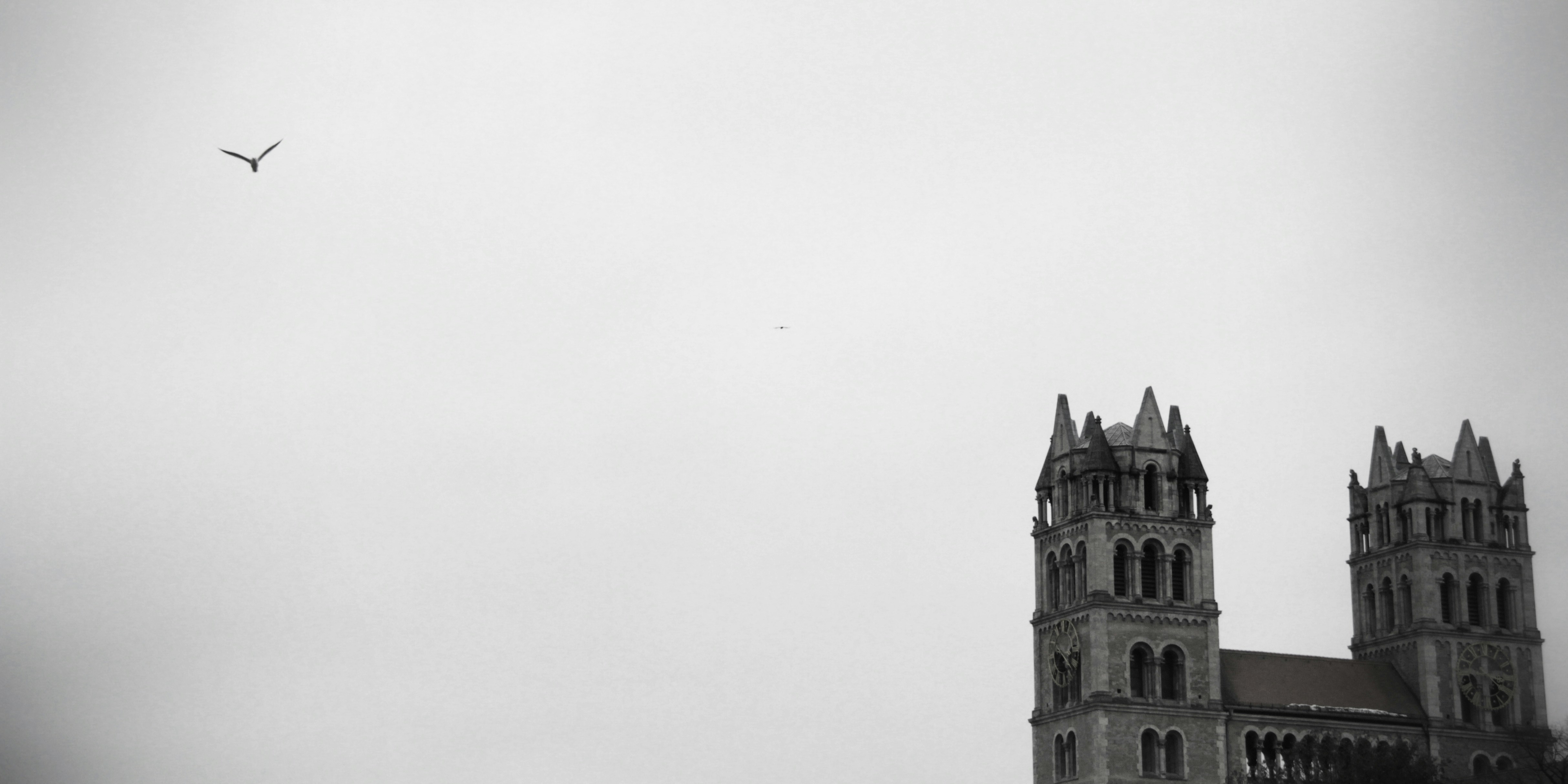 Historic building towers against a muted sky, with a solitary bird soaring above. The scene evokes a sense of solitude and reflection.