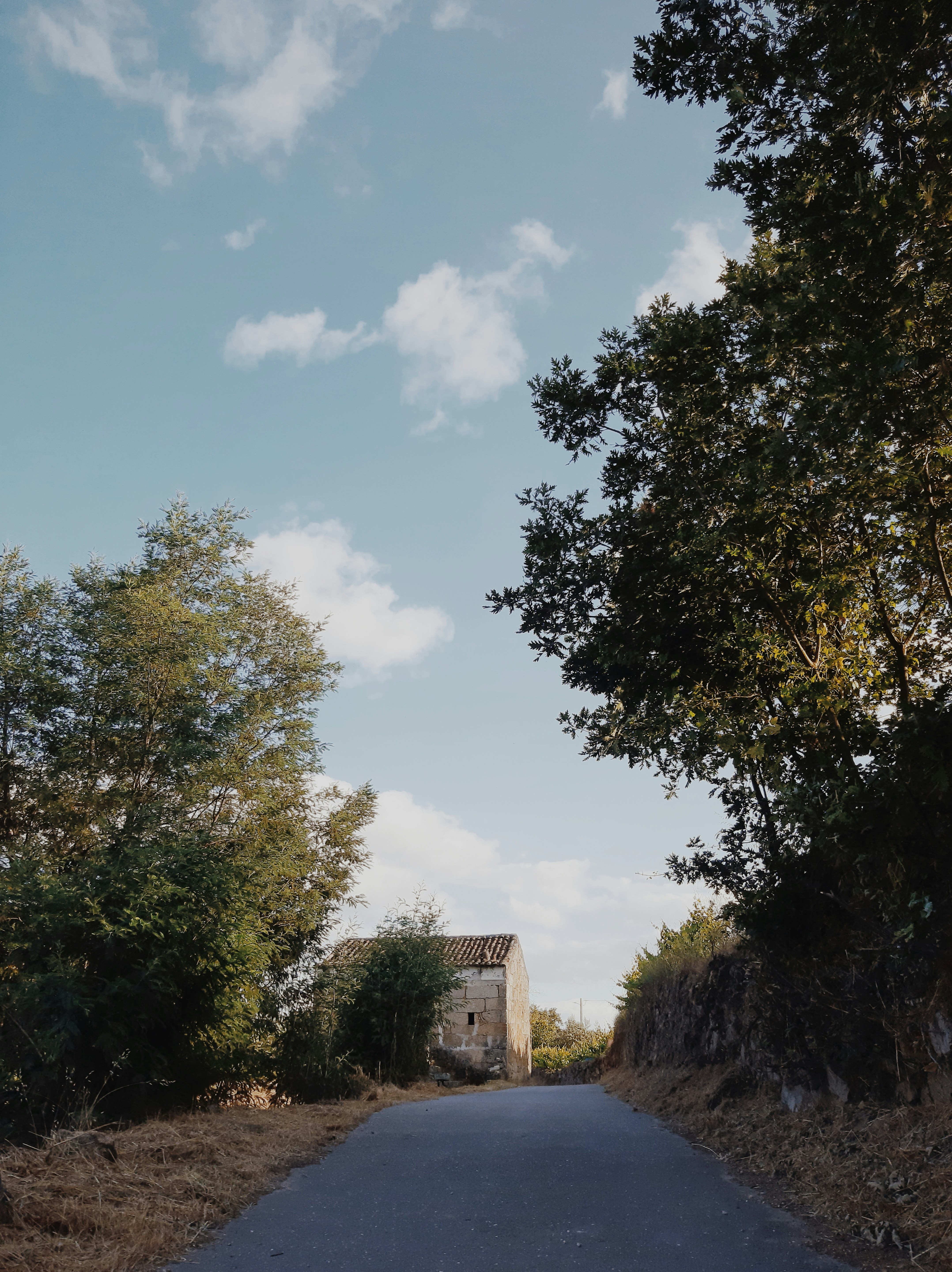 Hushed Rural Path to a Weathered Stone House