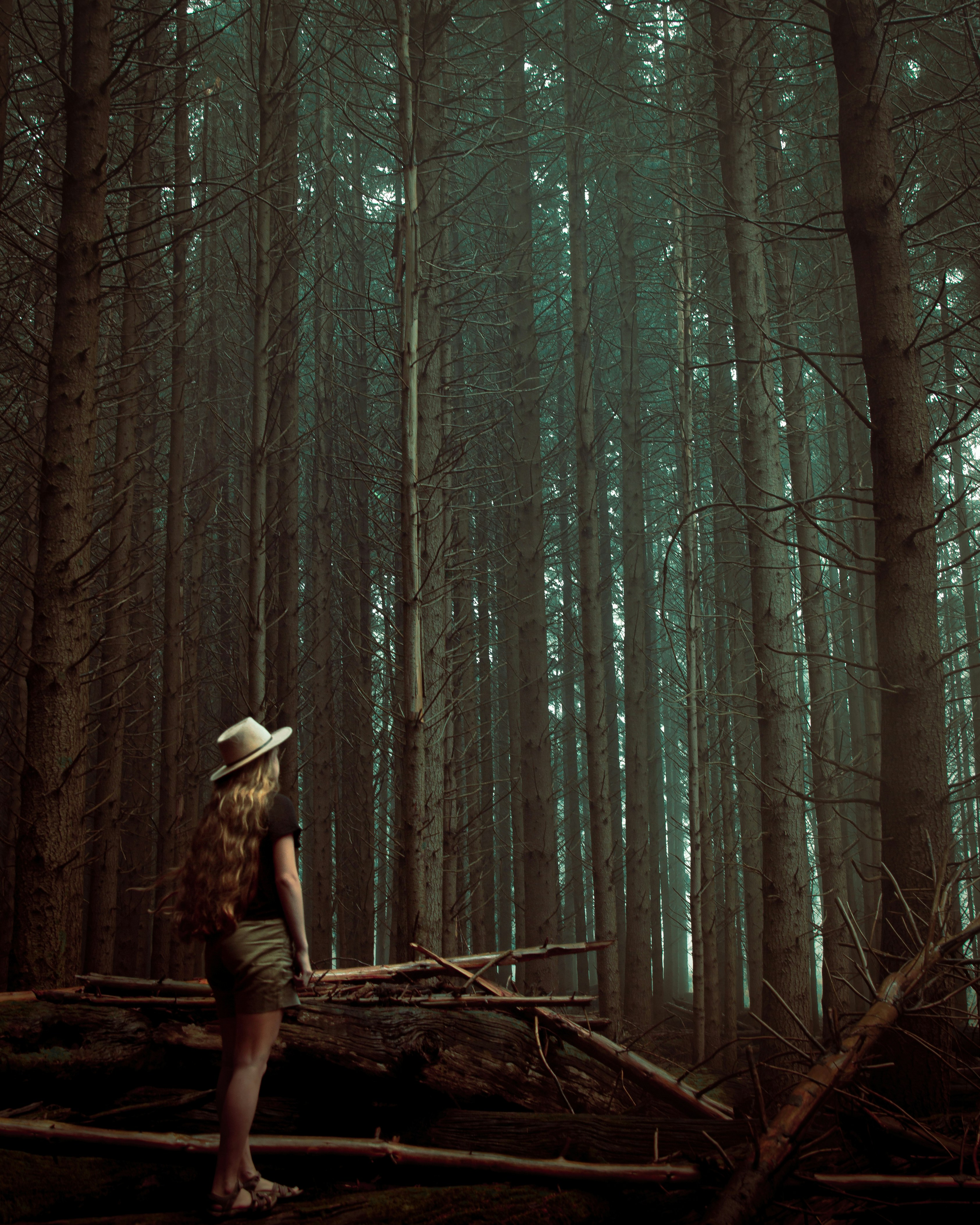 A figure stands amidst towering trees in a misty forest, evoking a sense of wonder and tranquility.