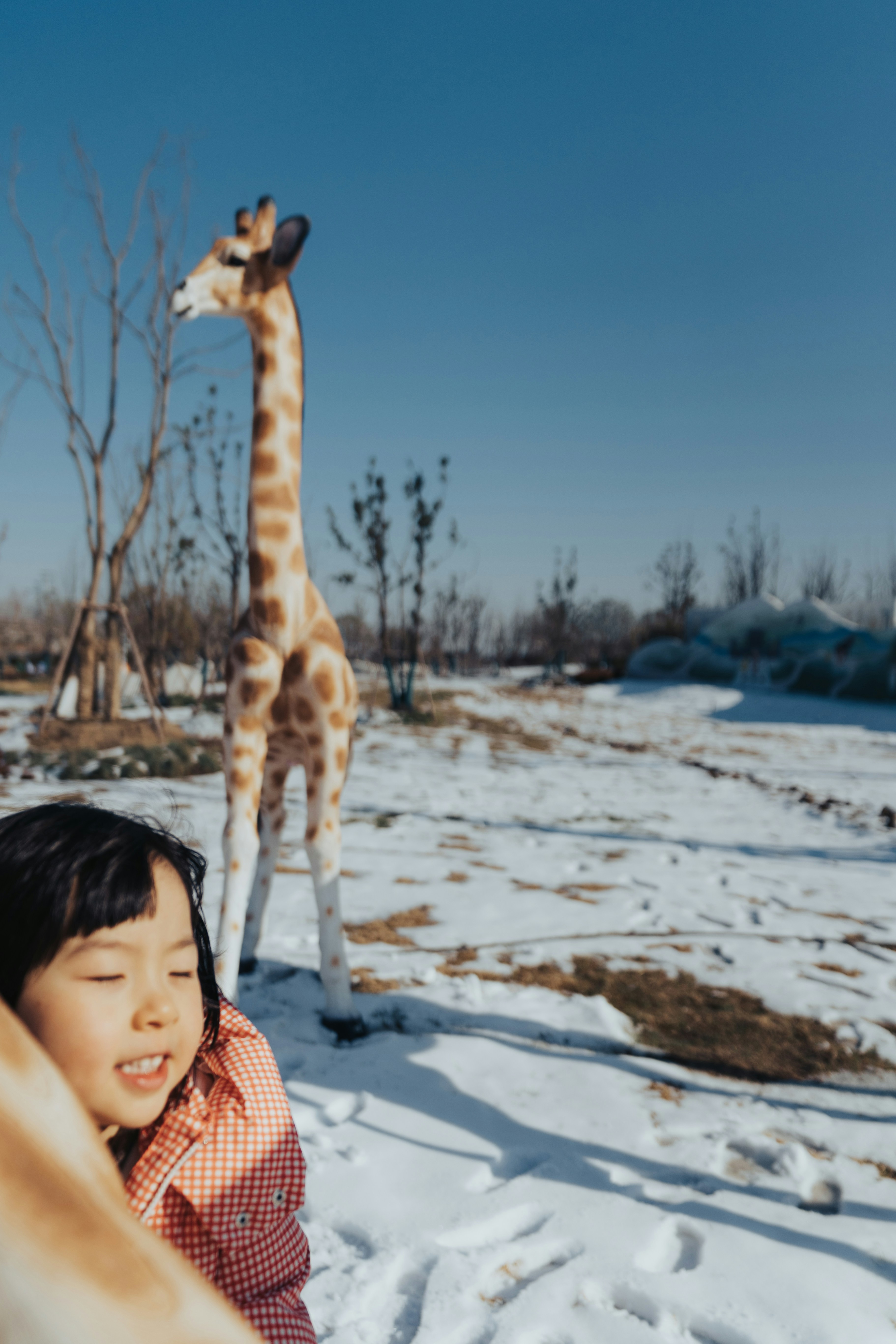 Snowlight Moment: Child and Giraffe Beneath a Clear Winter Sky