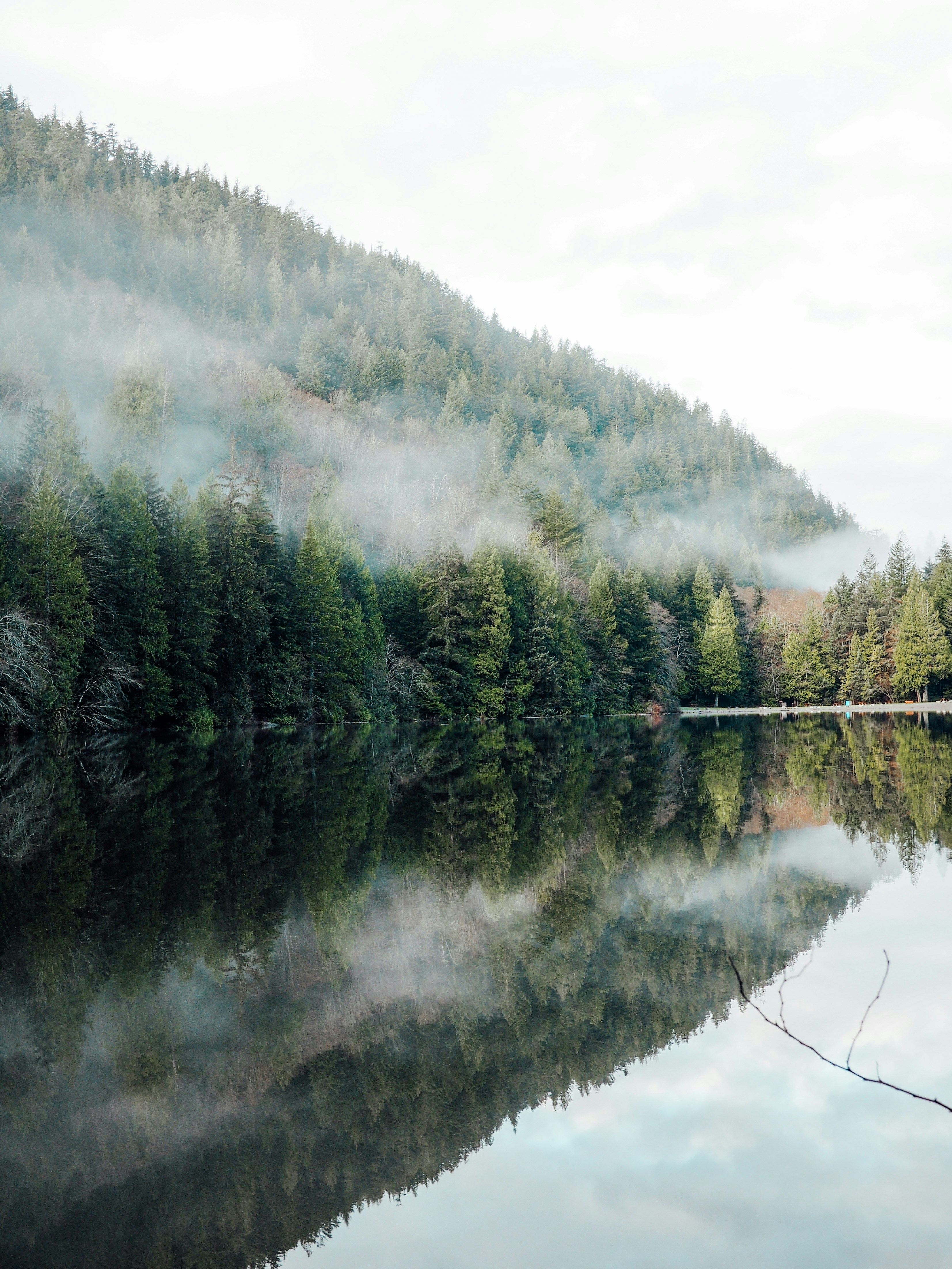 Green trees beside lake during daytime photo – Free Tree Image on Unsplash
