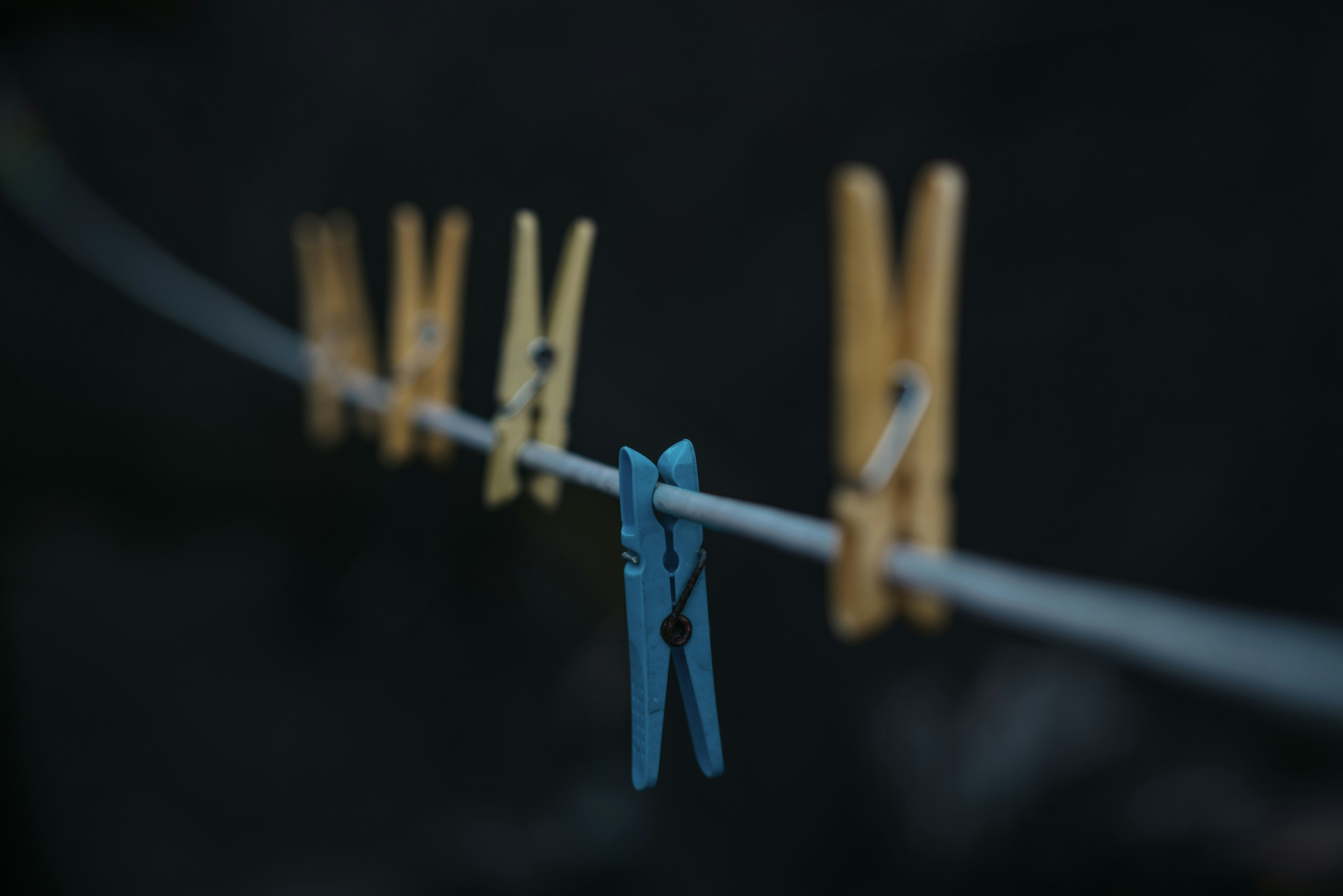 Azure Clothespin on a Quiet Line