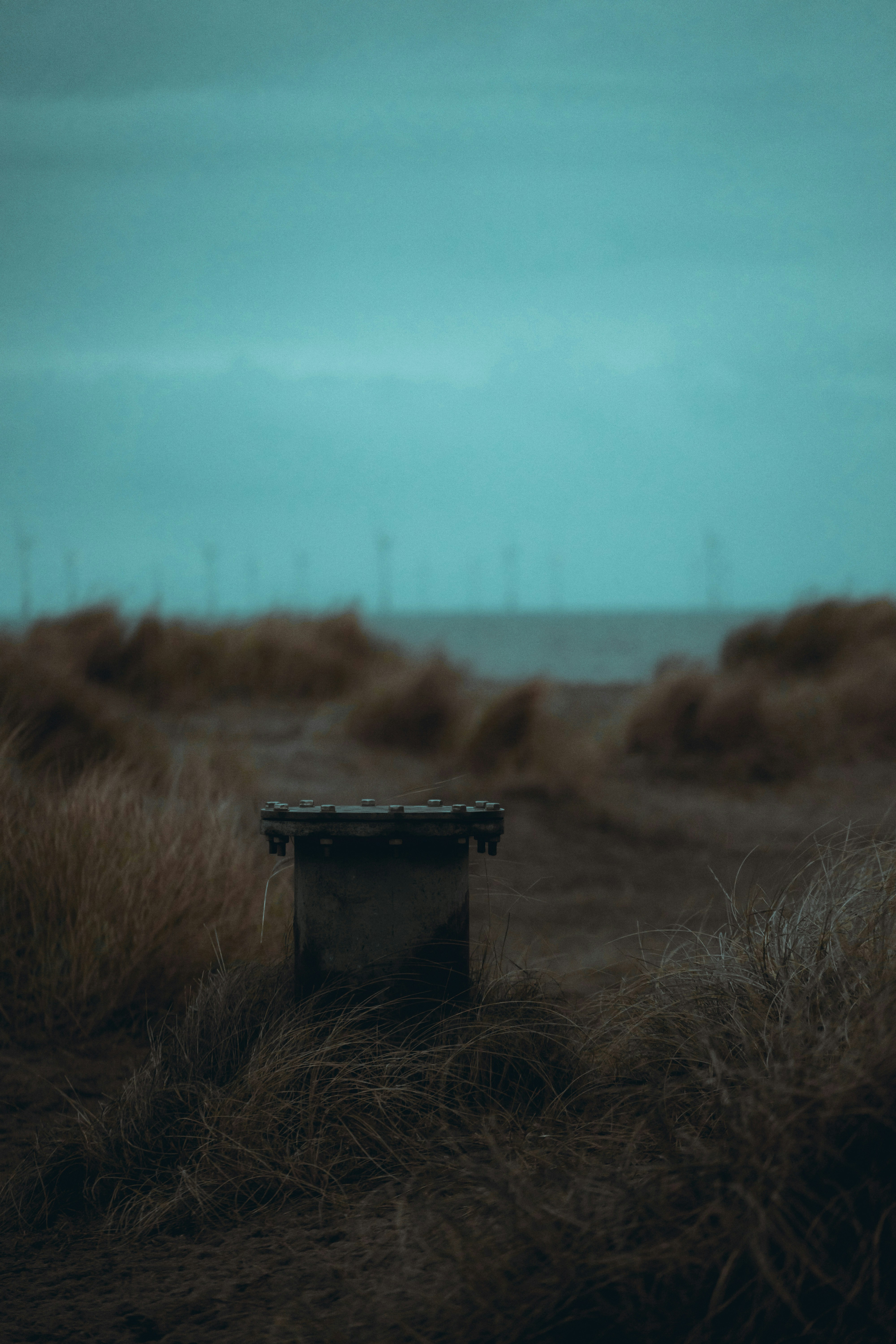 Forgotten Sentinel of the Shoreline