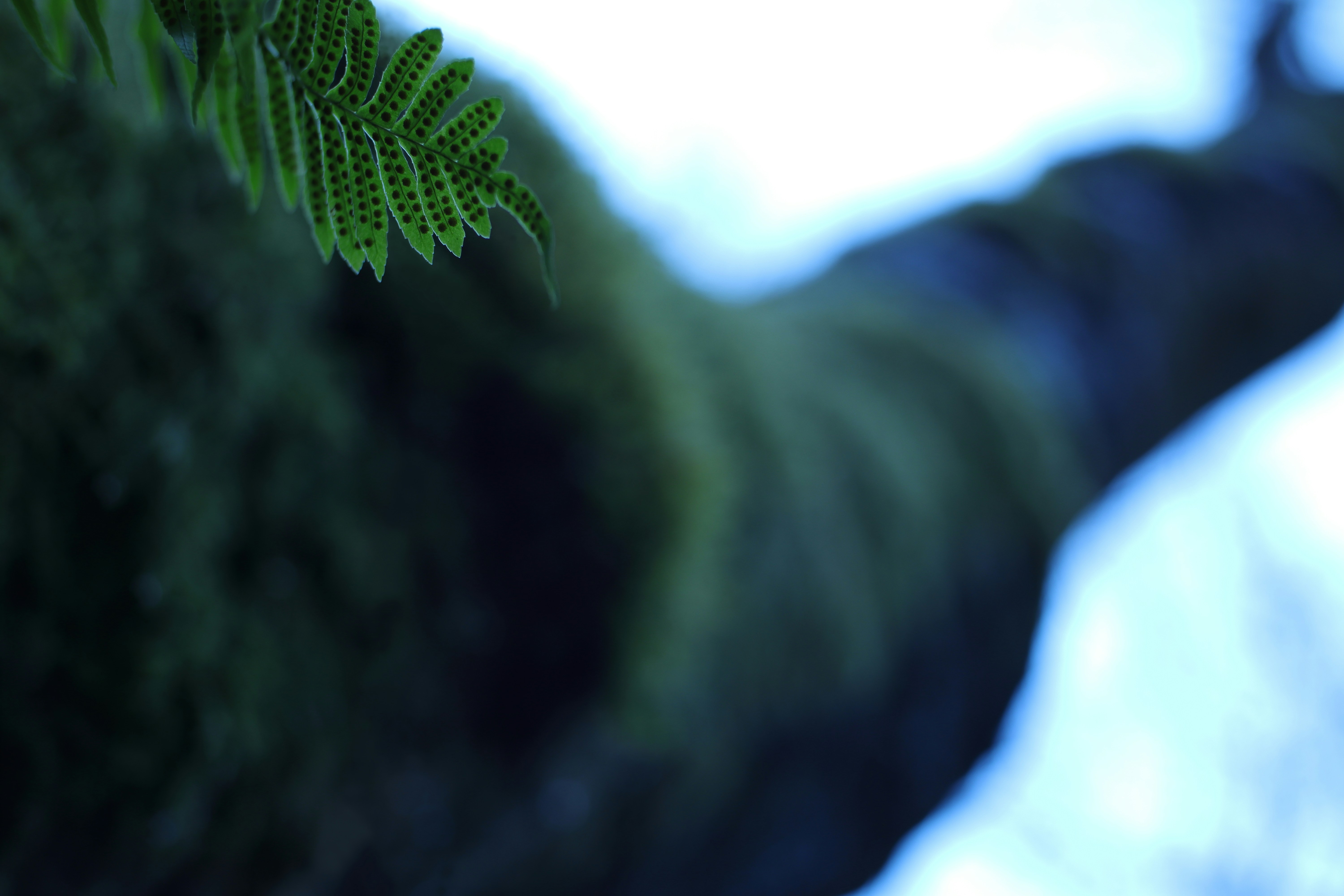 Sample photo from Canon EOS M200