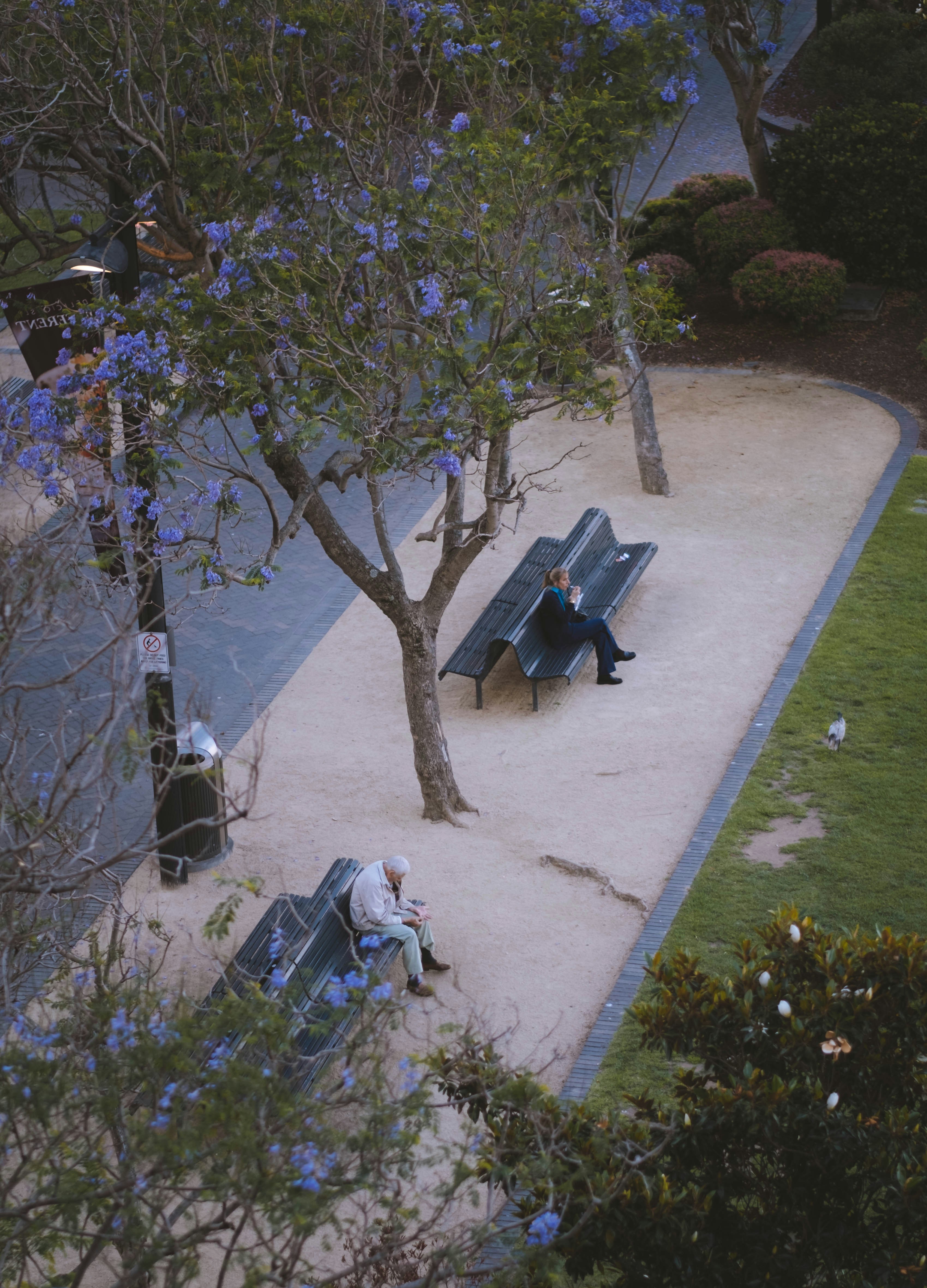 Quiet Portrait of a Parkbench Moment