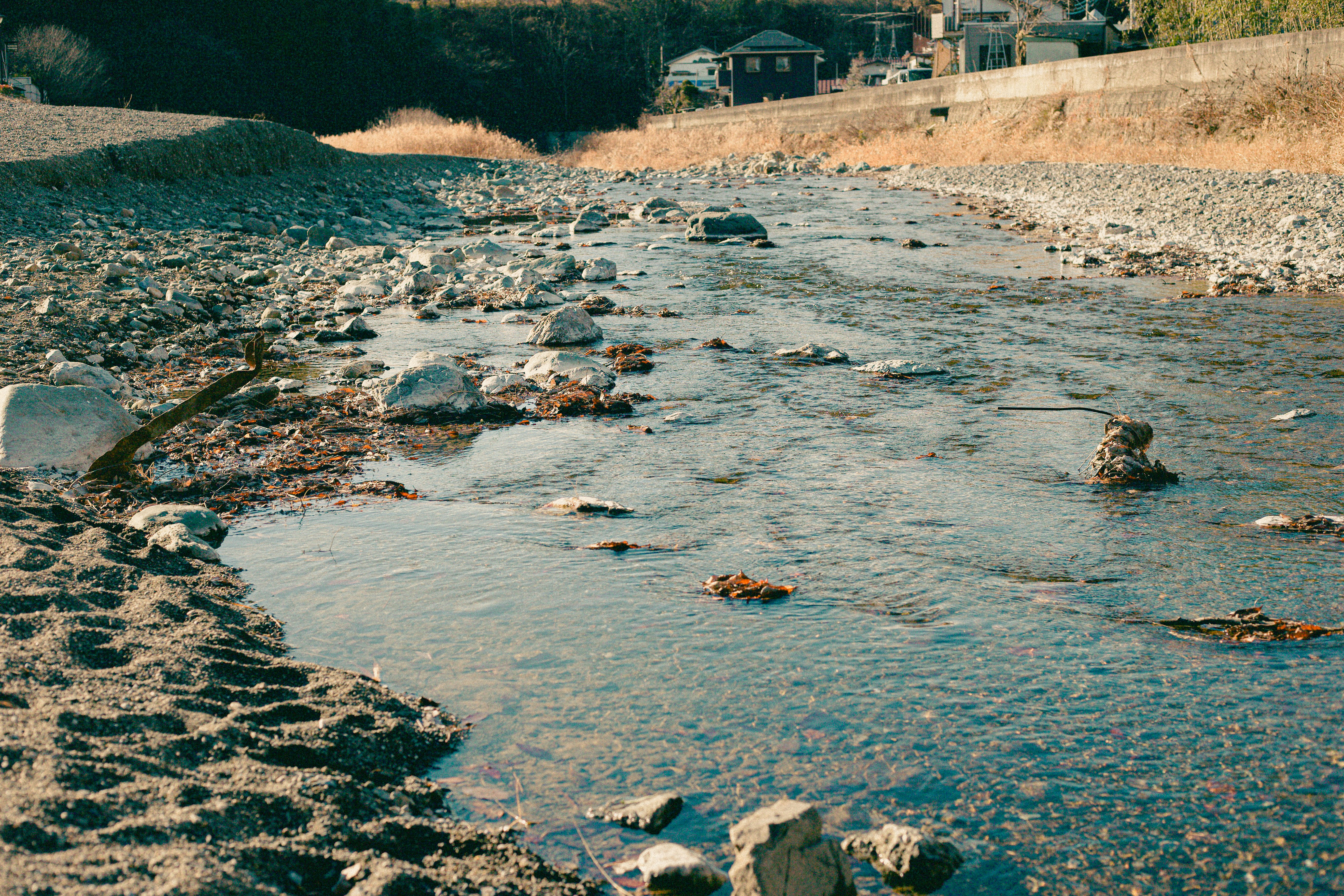 Tranquil stream flowing through a rocky bed with autumn foliage in the background.