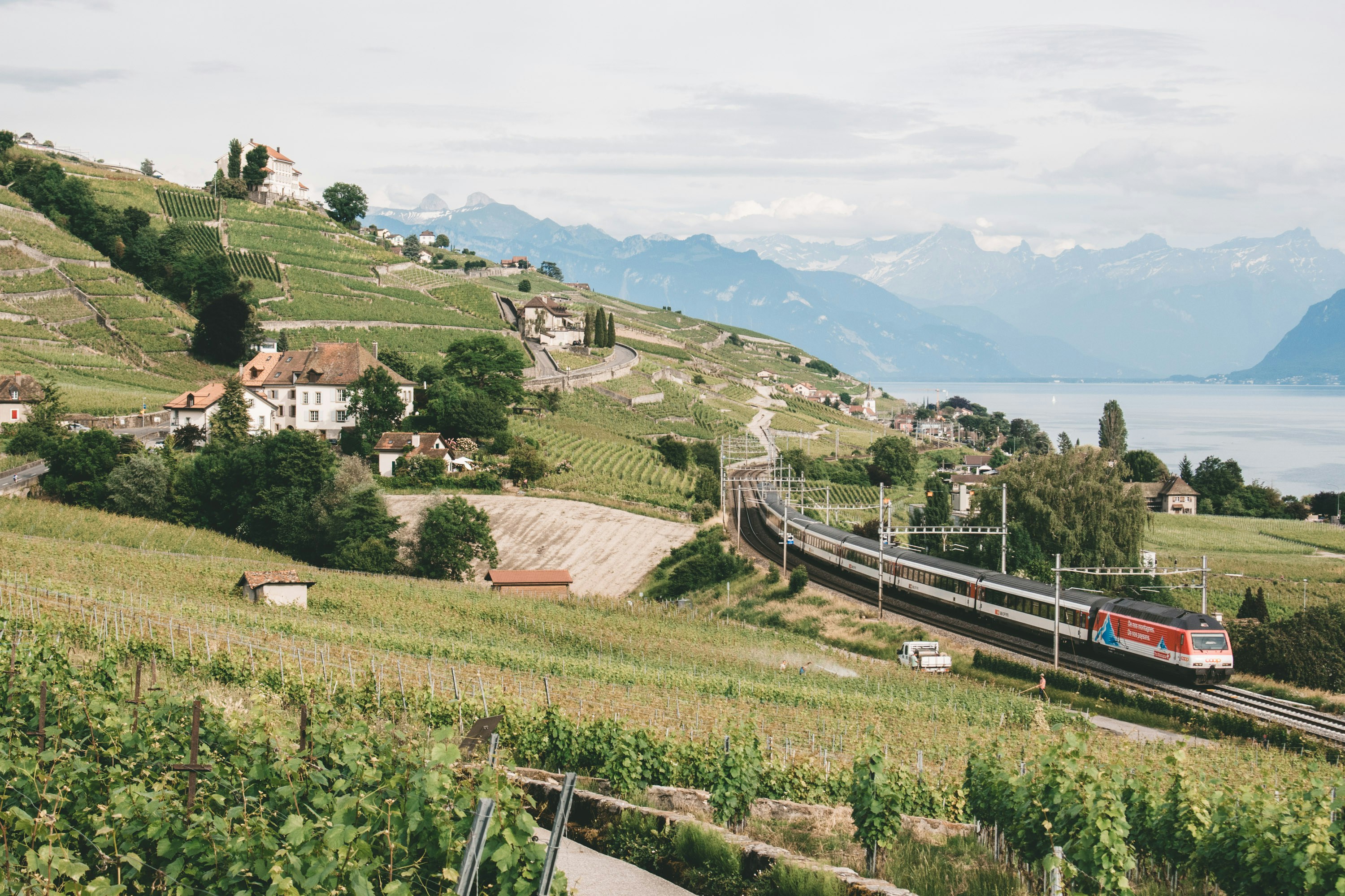 A train going through a rural area near a lake during summer.