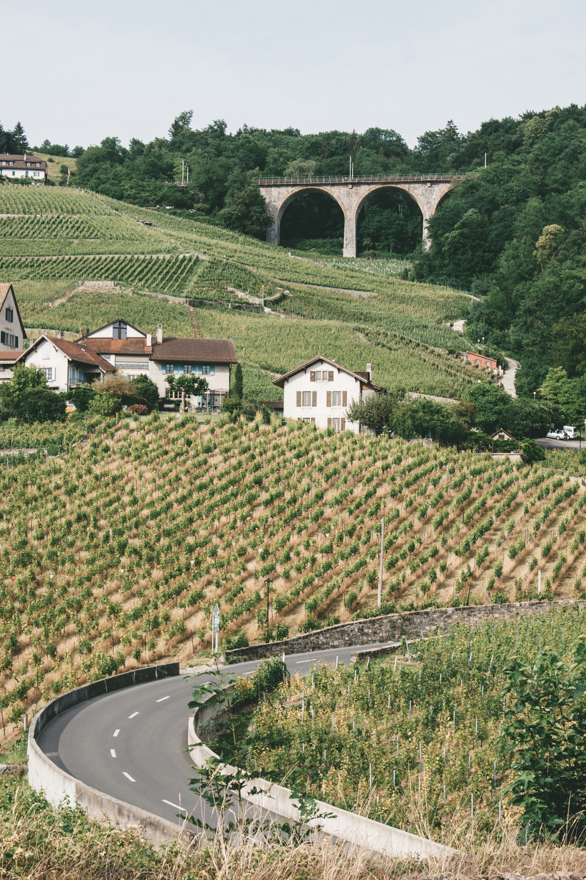 A driveway and a railroad bridge on a hill in a rural area during a summer day.