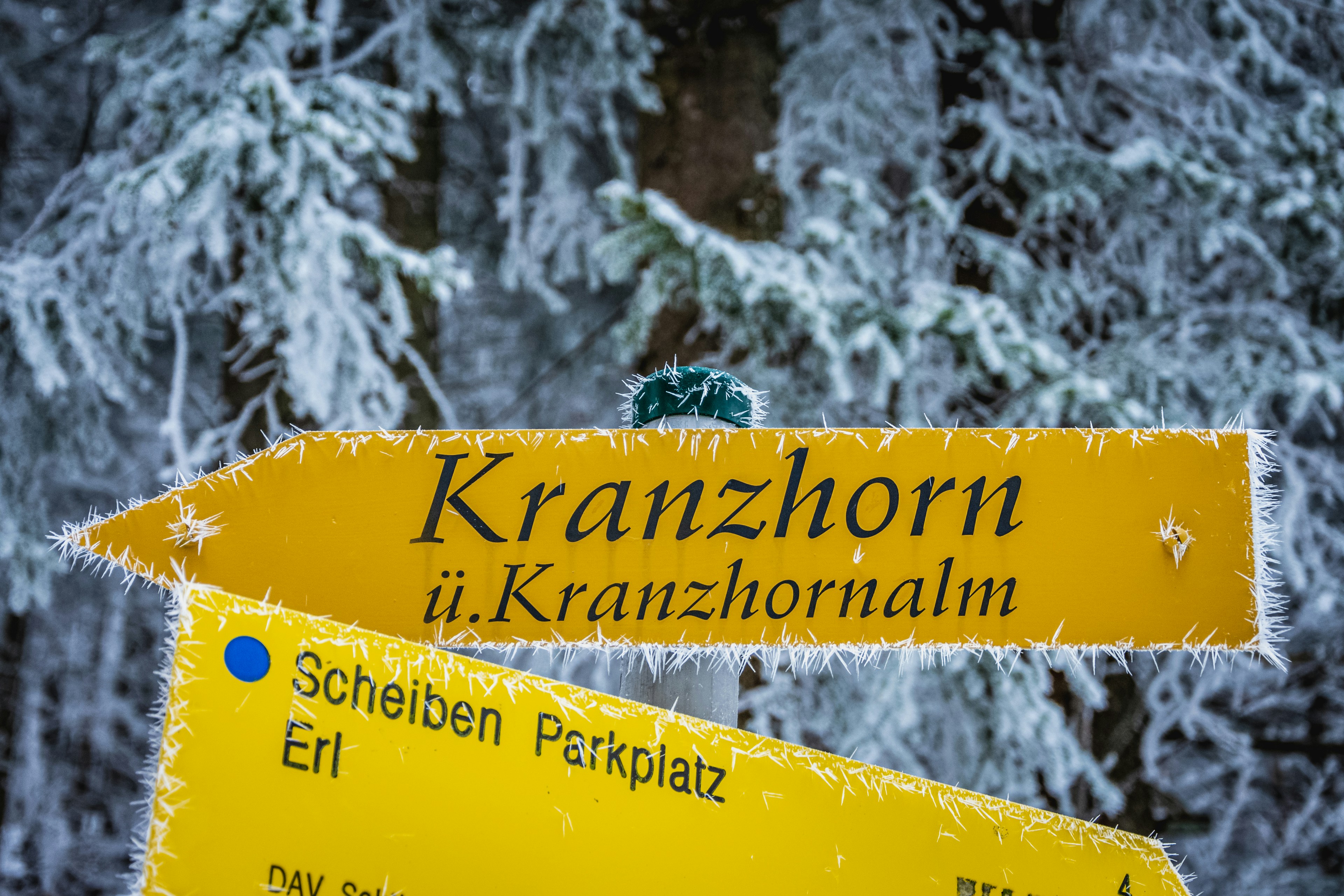 Yellow directional sign to Kranzhorn amidst snow-covered trees in a winter forest.