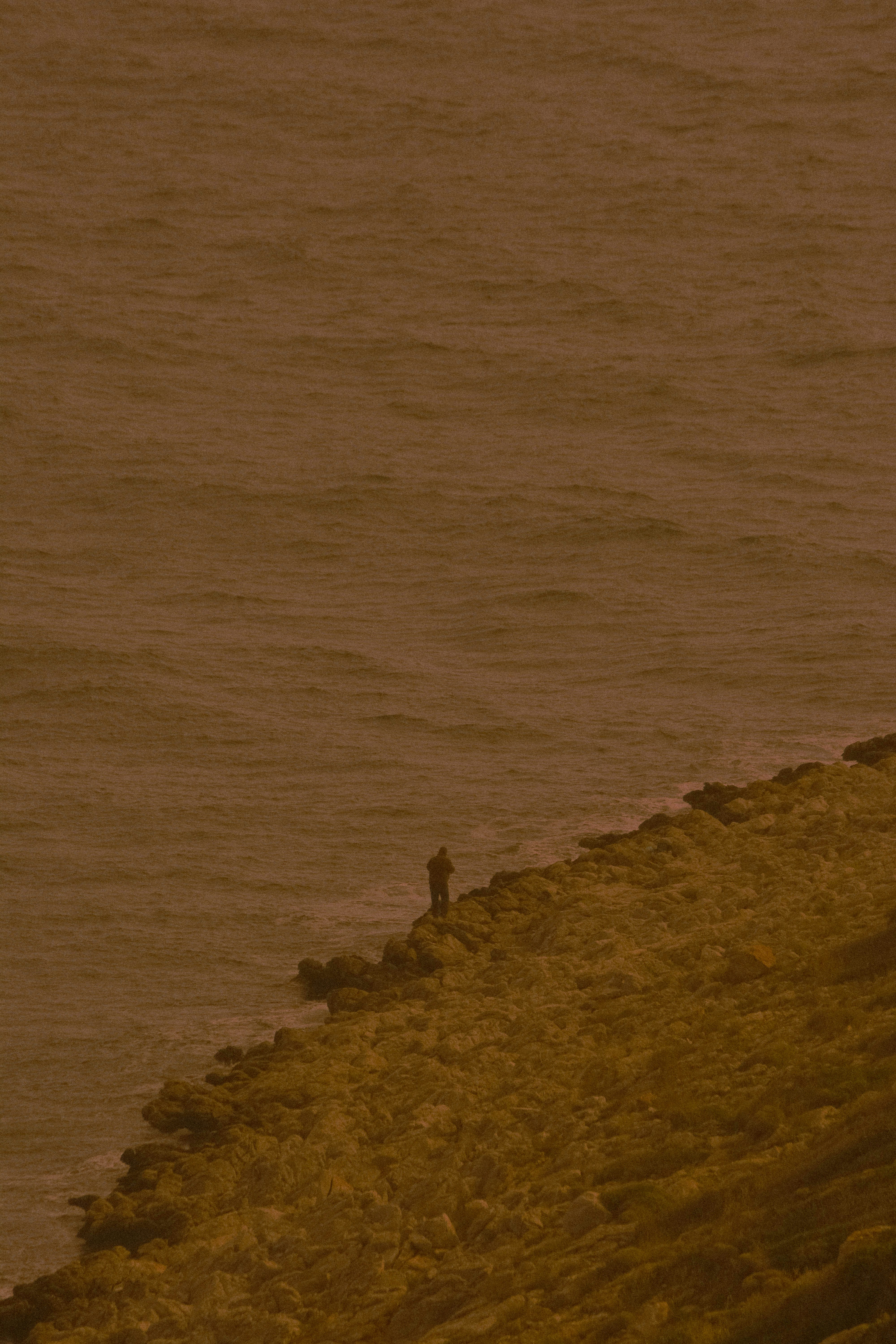 A lone figure stands on a rocky coastline, gazing out at the tranquil sea under a warm, muted sky.