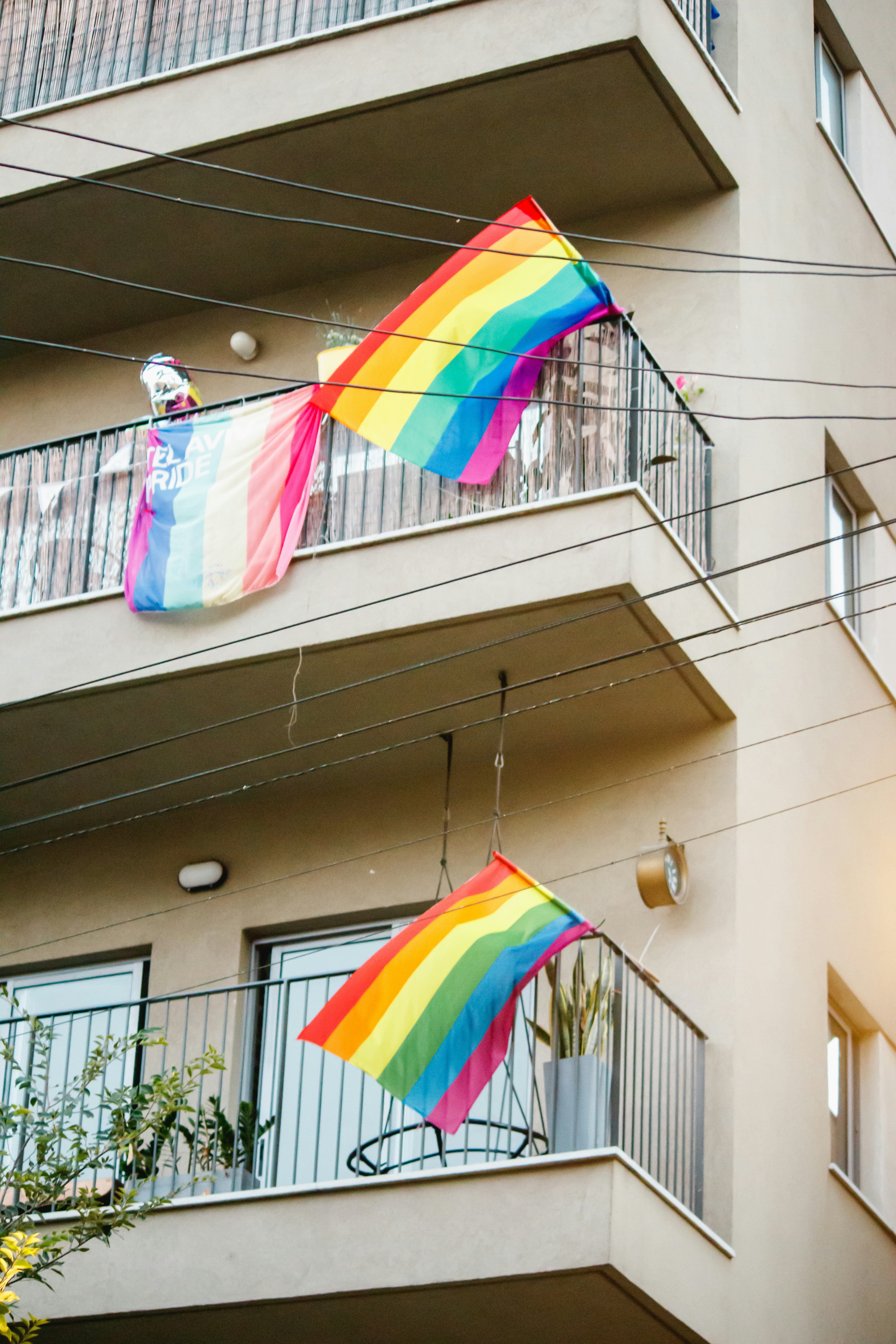 Rainbow Flag Pictures | Download Free Images on Unsplash