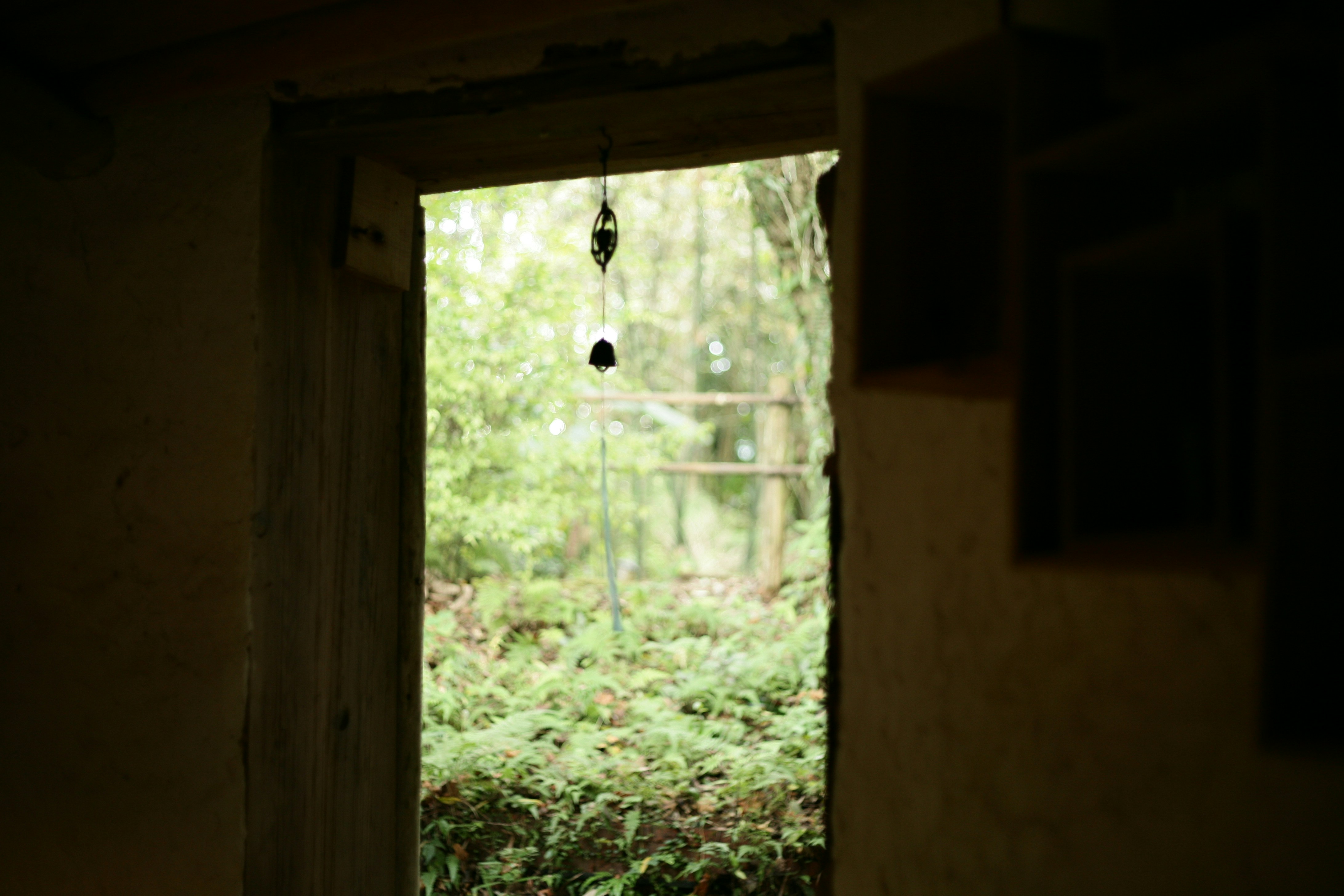 A rustic doorway frames a serene view of lush greenery, inviting the outside world in. Sunlight filters through the leaves, creating a tranquil atmosphere.