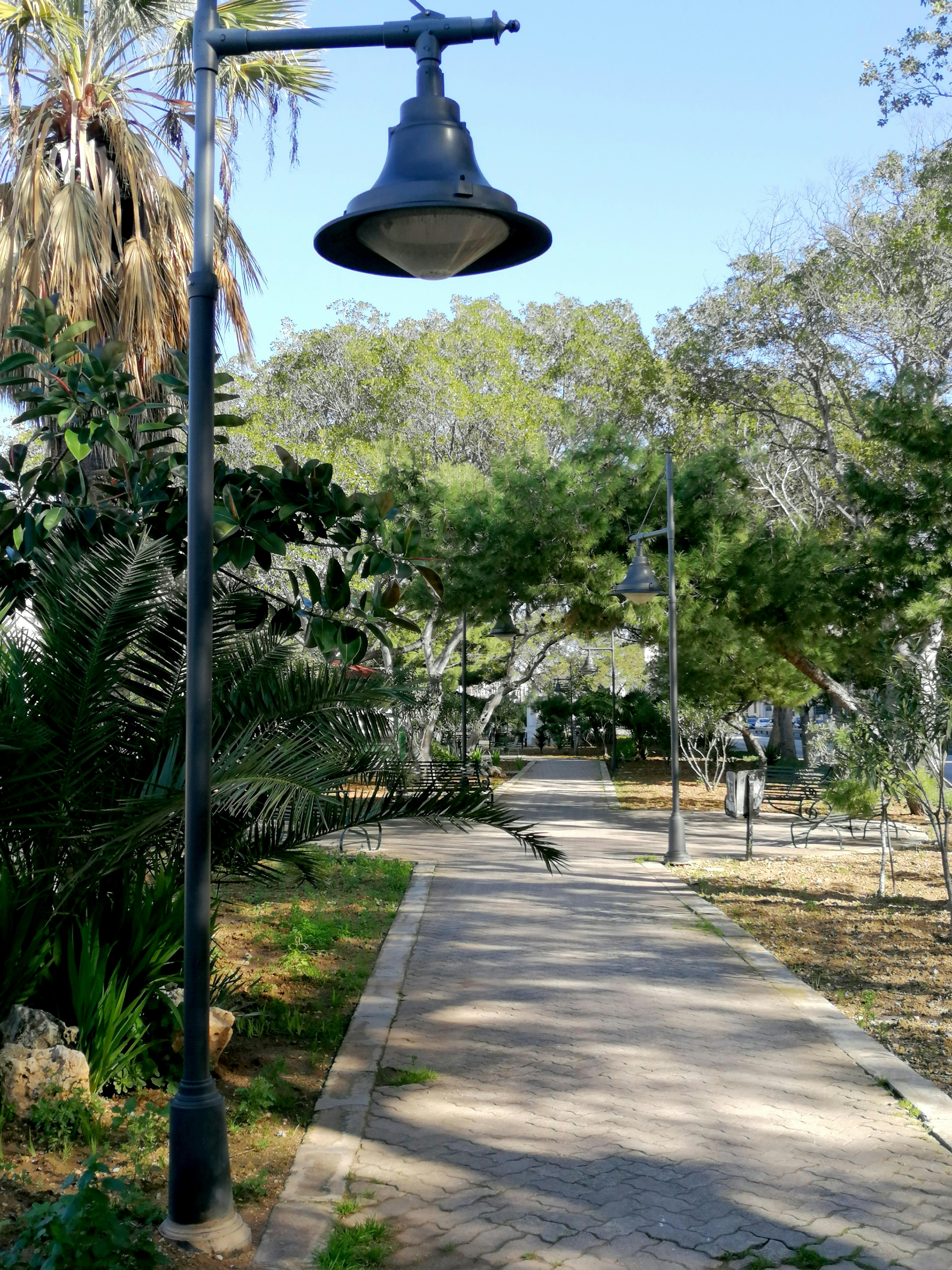 A serene park pathway lined with trees and vintage street lamps, inviting leisurely strolls amidst vibrant greenery.
