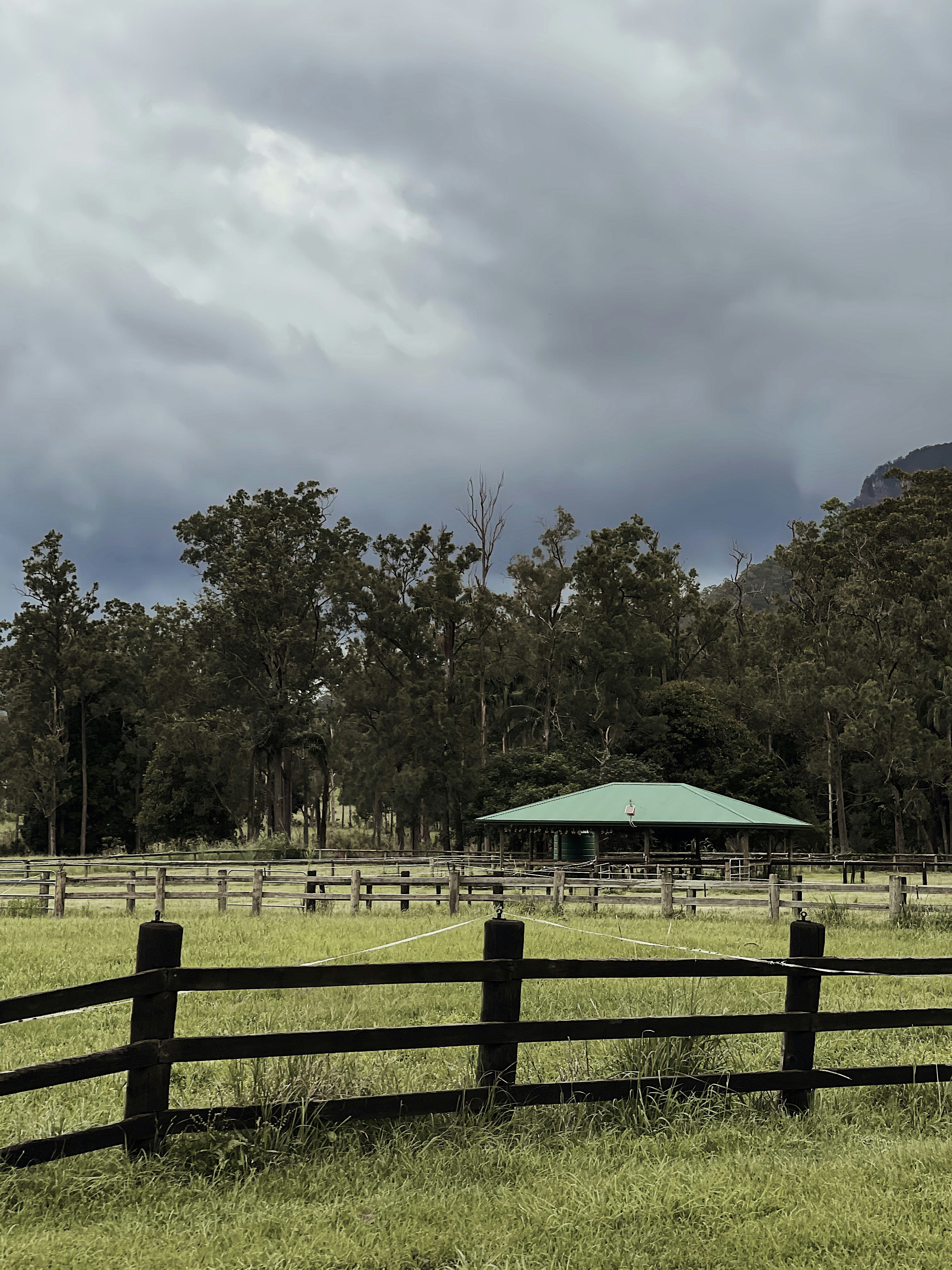 Green-roofed Pavilion Framed by Fences and Pines