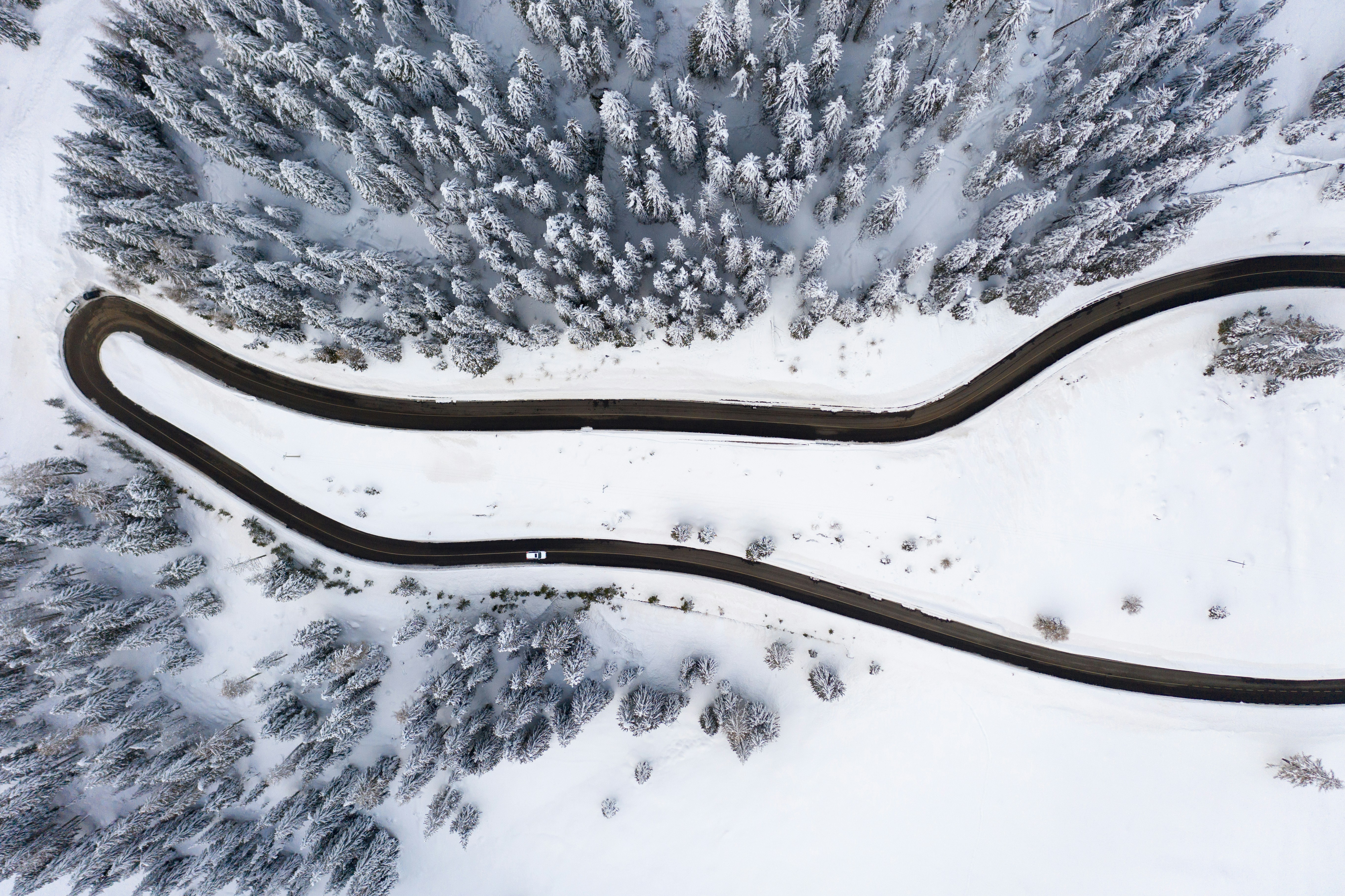 Riccardo Trimeloni (@trime) | Unsplash Photo Community