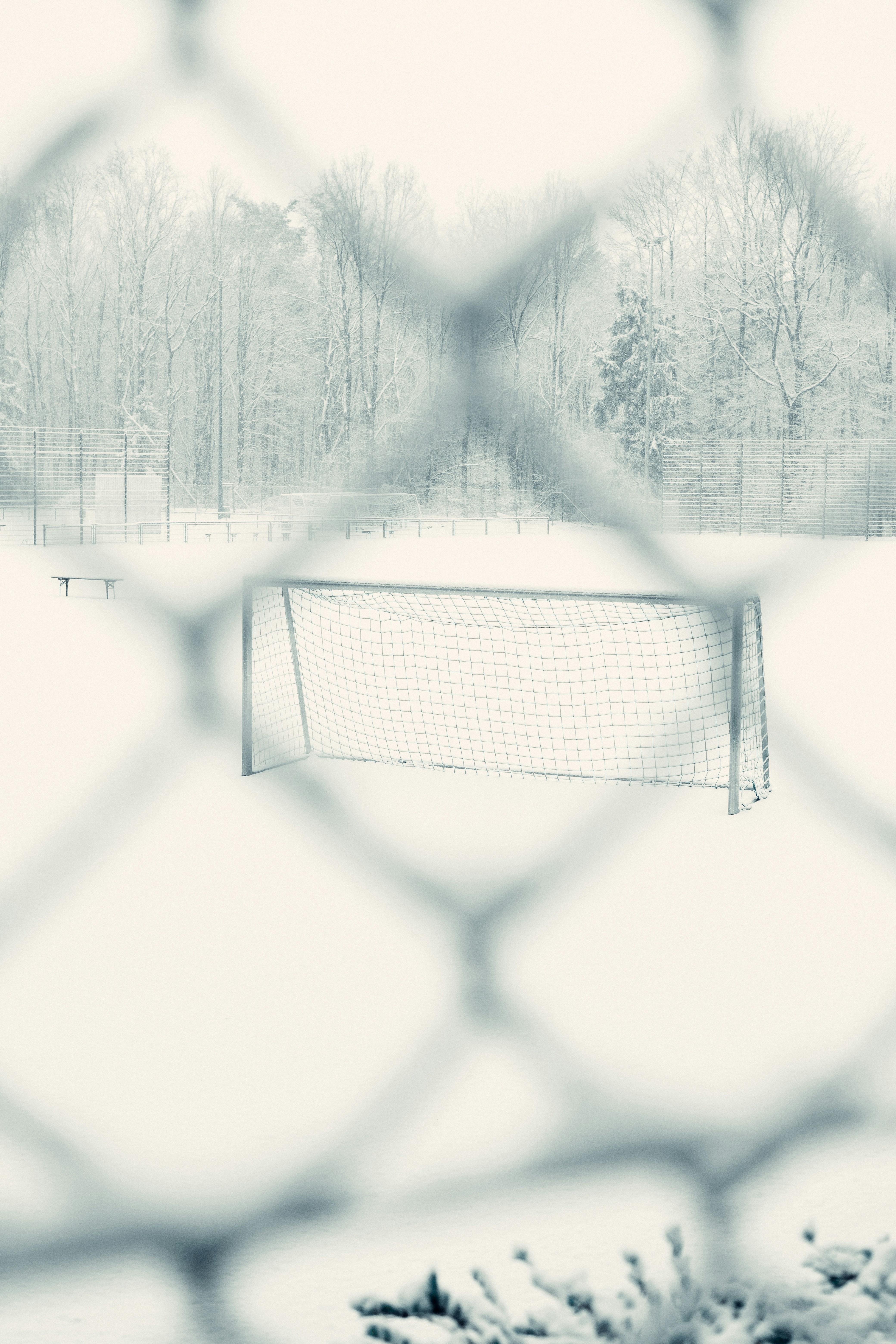 white metal fence near trees covered with snow