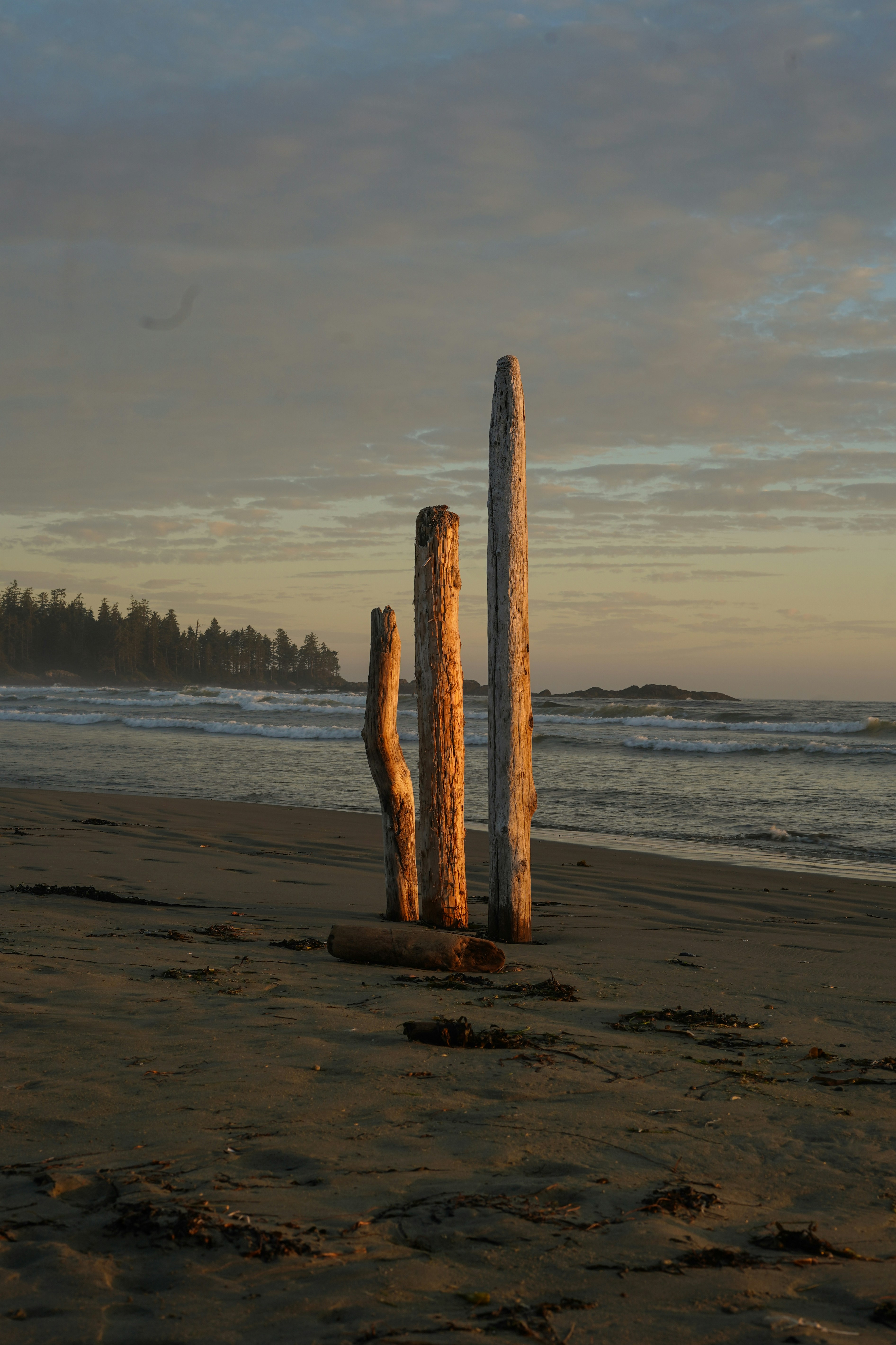 Three Weathered Poles Standing Guard Over a Quiet Sunset Beach