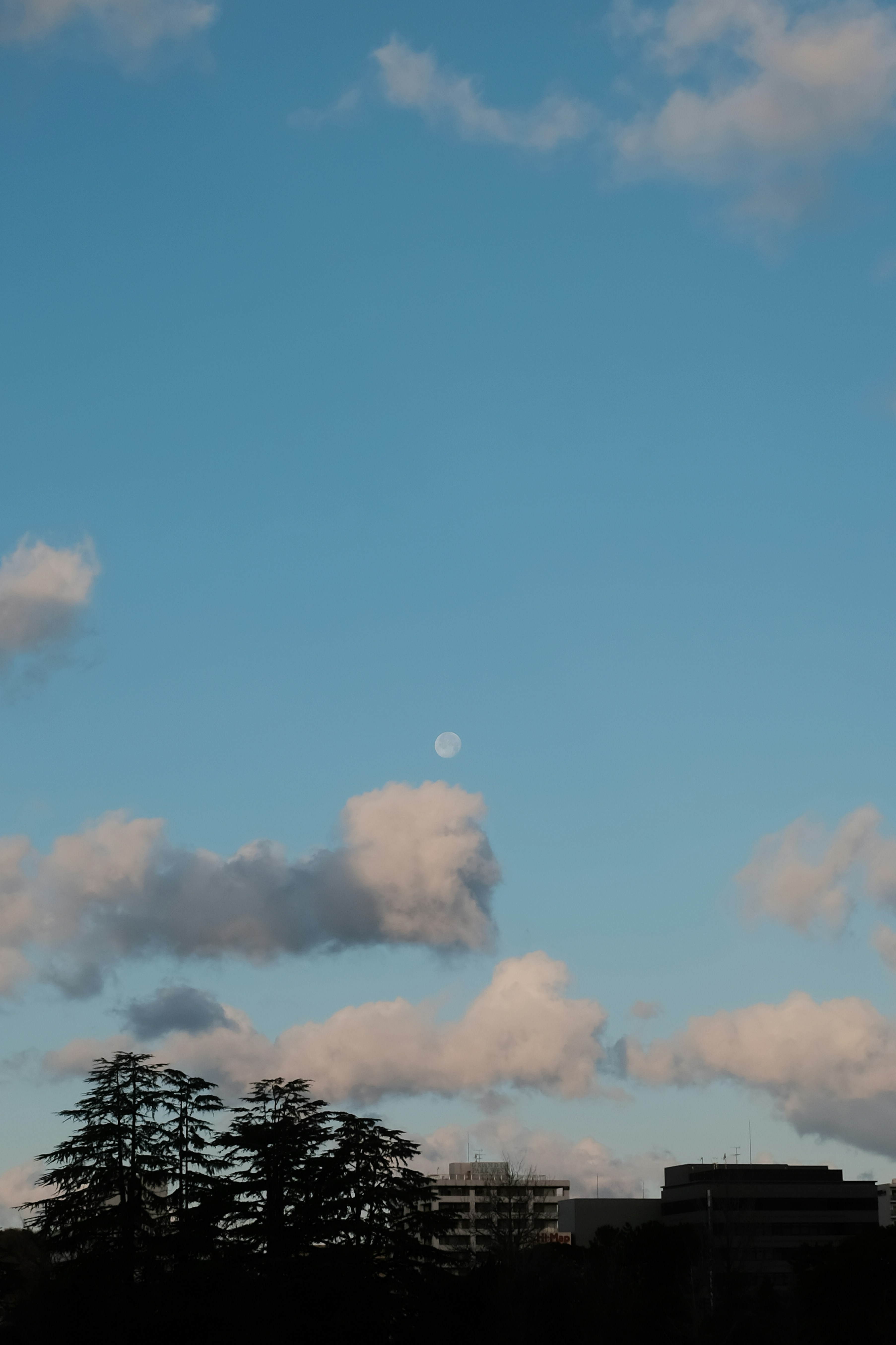 Daylight Moon Over a Quiet City Skyline