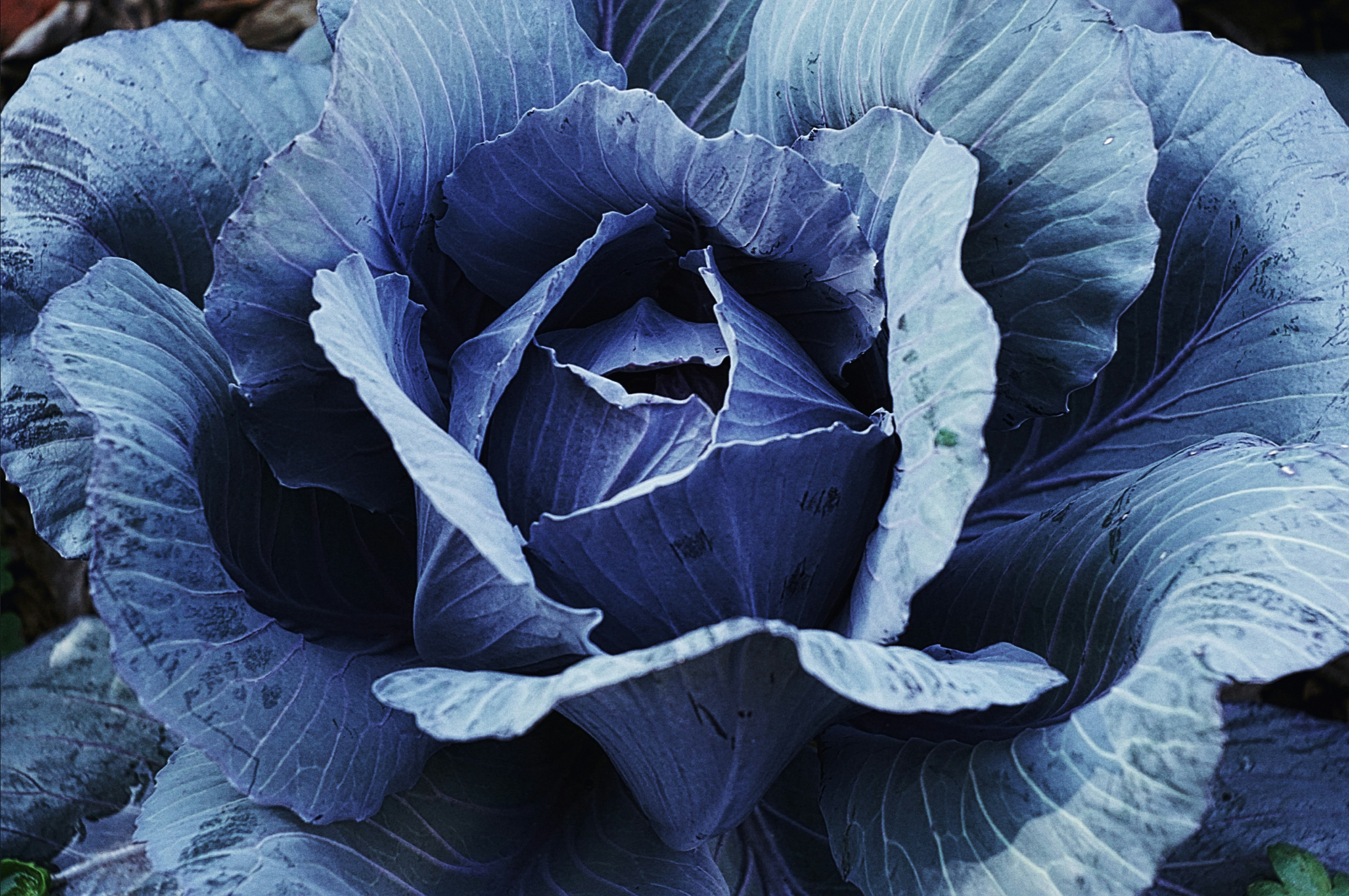 Indigo Color: Meaning, History, and Shades of the Deep Blue Hue