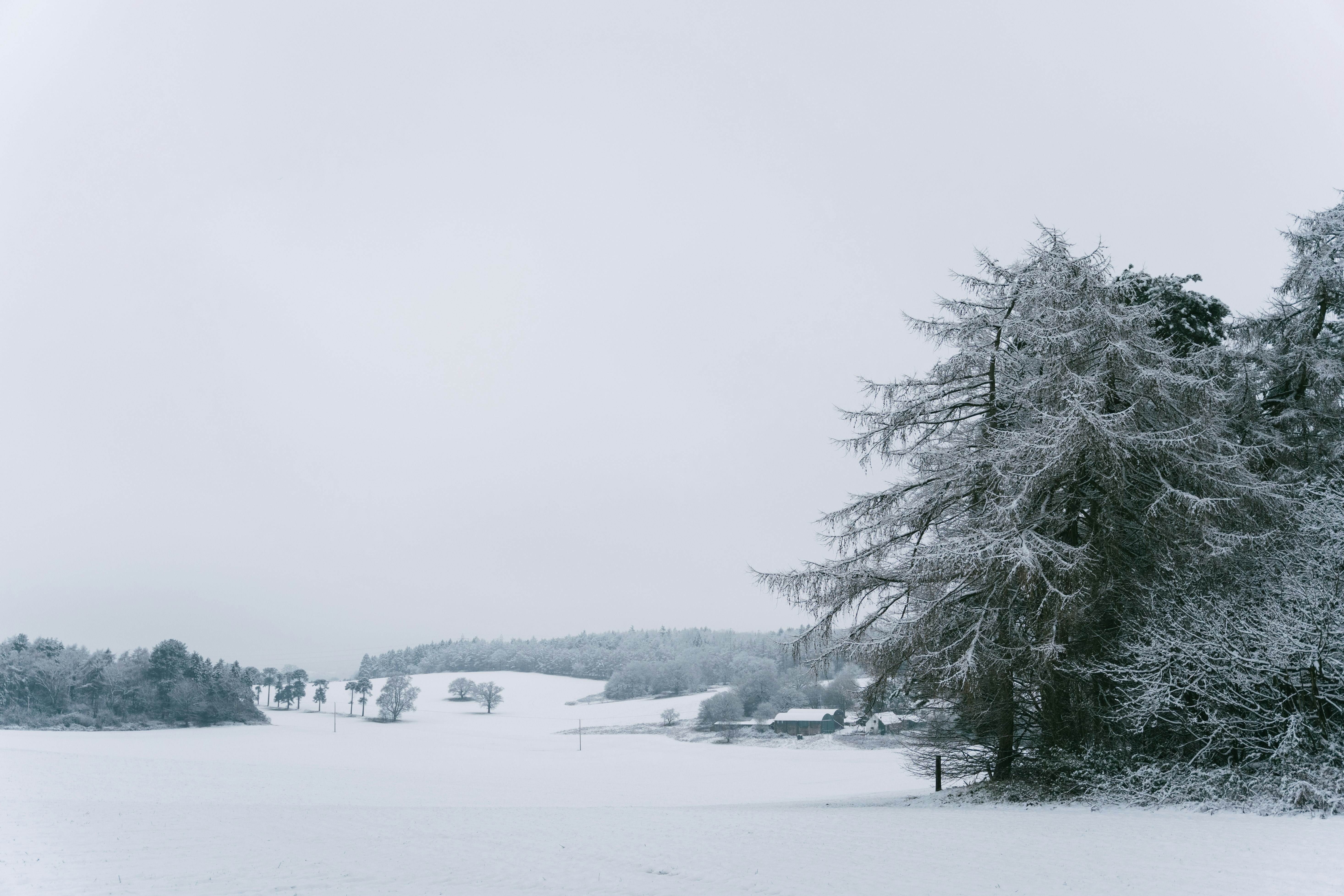 Snow-covered landscape with frosted trees and a distant farmhouse, evoking a tranquil winter scene. The soft light creates a serene atmosphere.