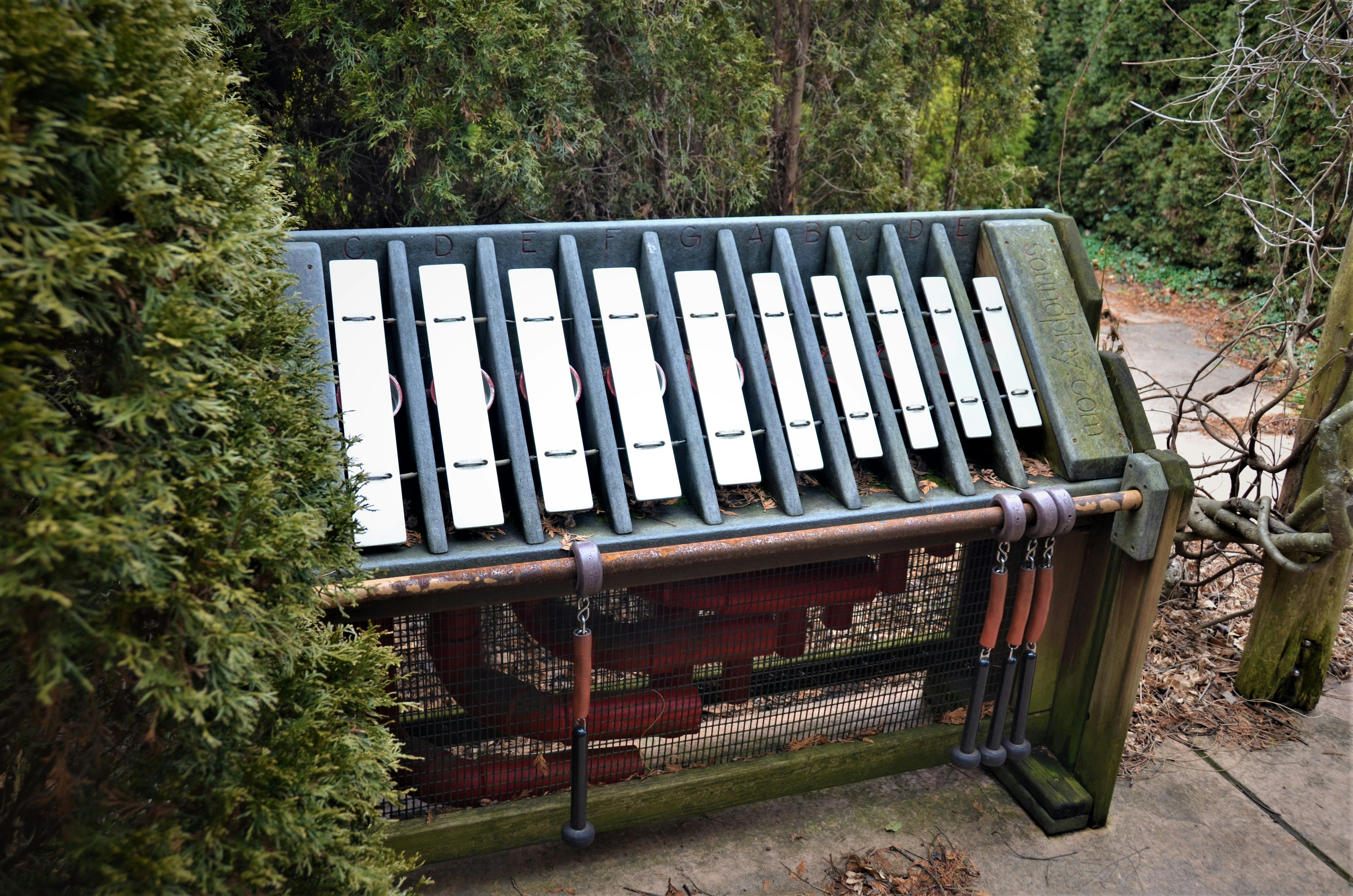 Rust and Keys: A Weathered Harmonica Bench in the Greenroom